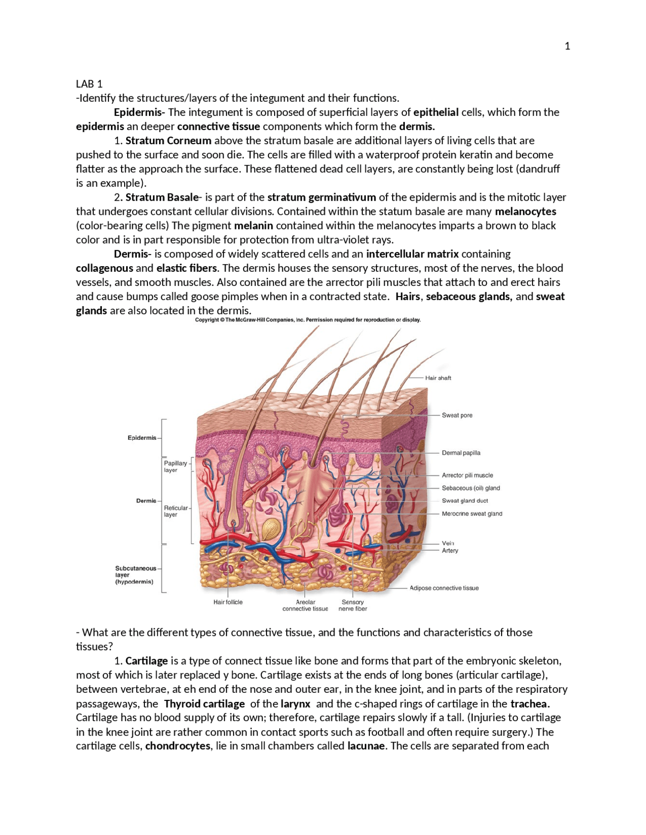 Solved Problem On The Microbial Genetics Exam 3 Biol 1011 Docsity