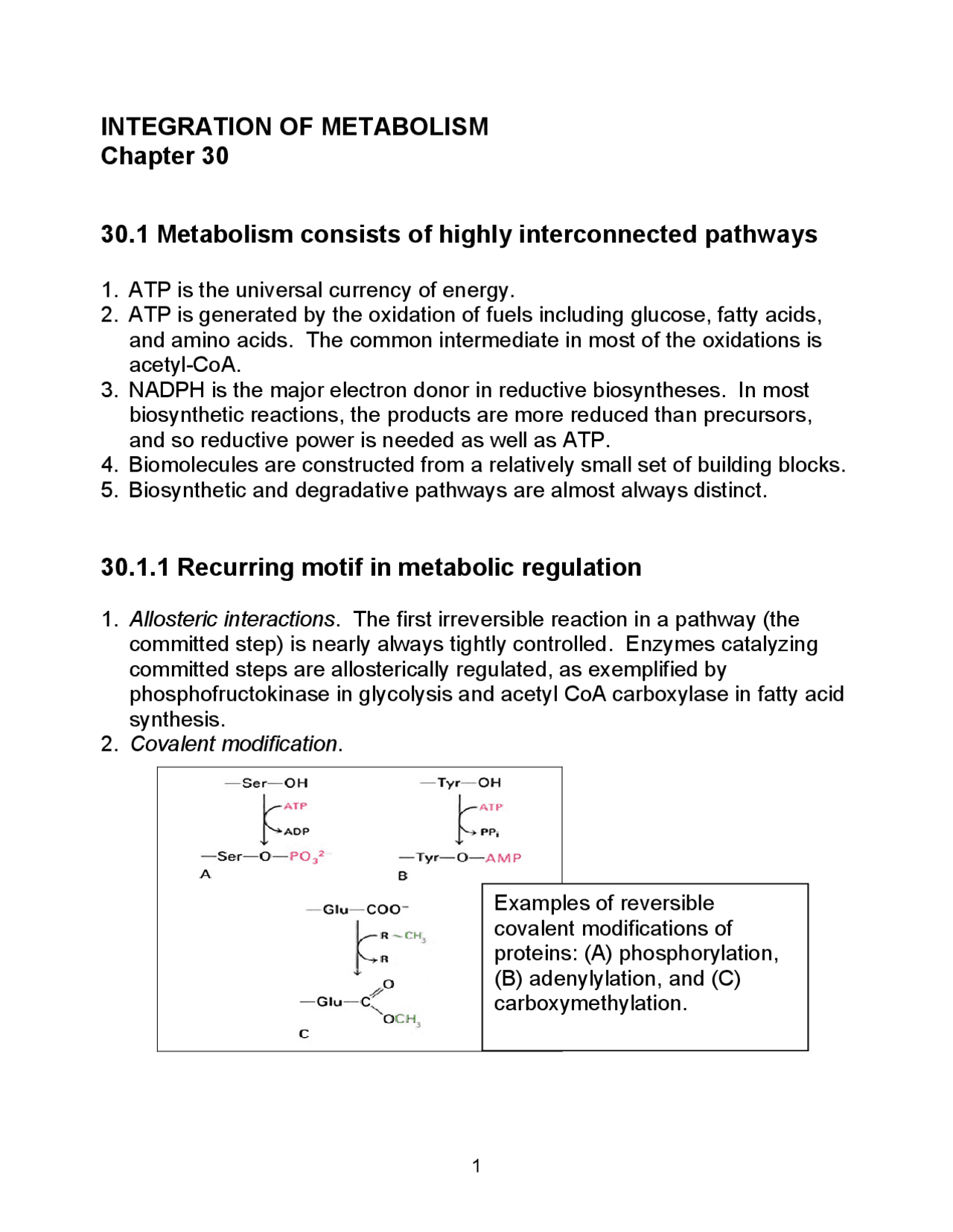 Metabolism Consists Of Highly Interconnected Pathways Metabolism