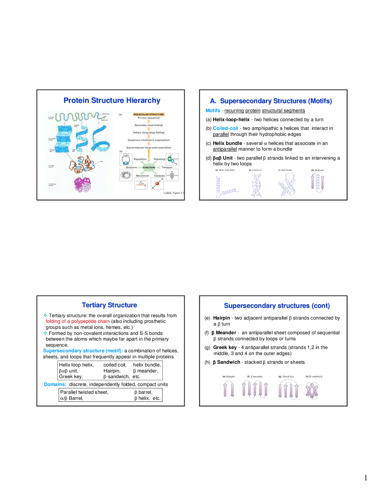 Protein Structure Hierarchy Fundamentals Of Biochemistry Bch 401g