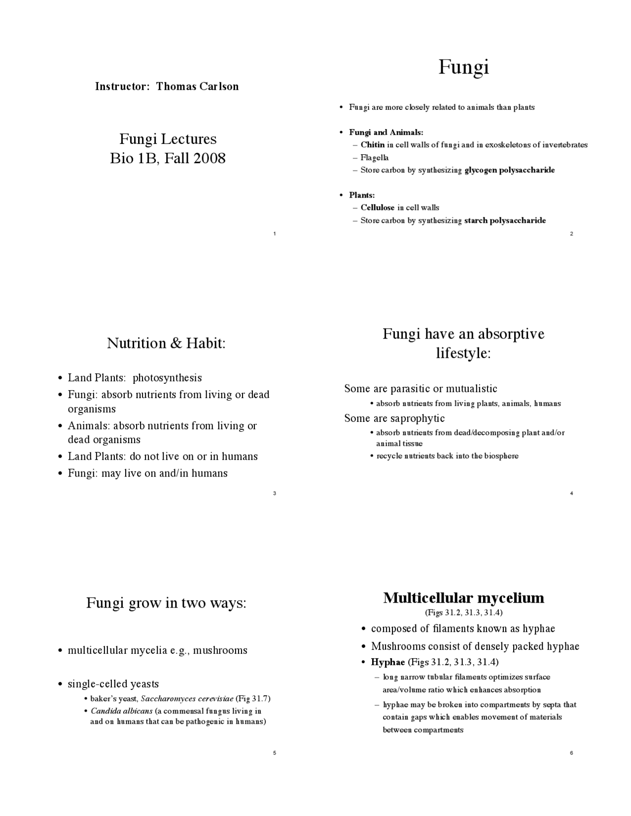 Lecture Slides on Fungi and Animals | BIOL 1B - Docsity