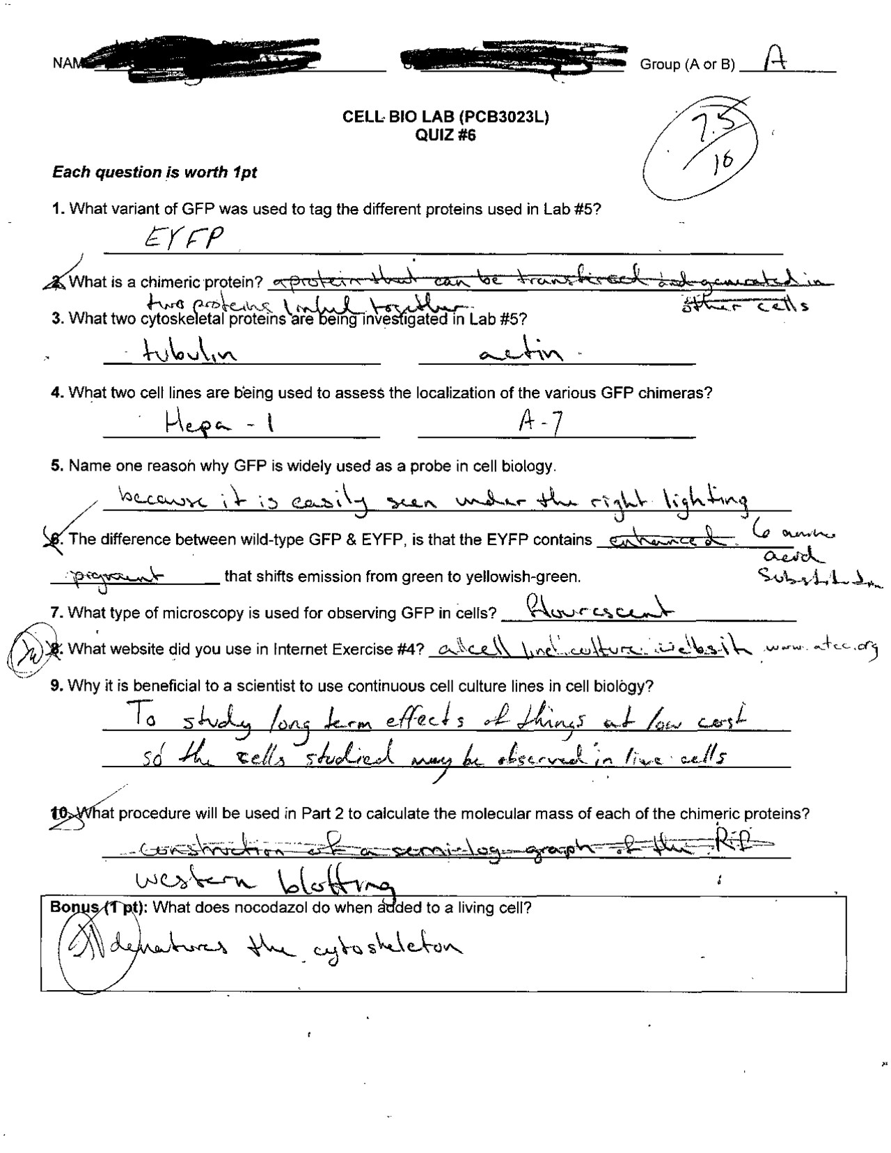 Quiz 6 With Solution For Cell Biology Pcb 3023 Docsity