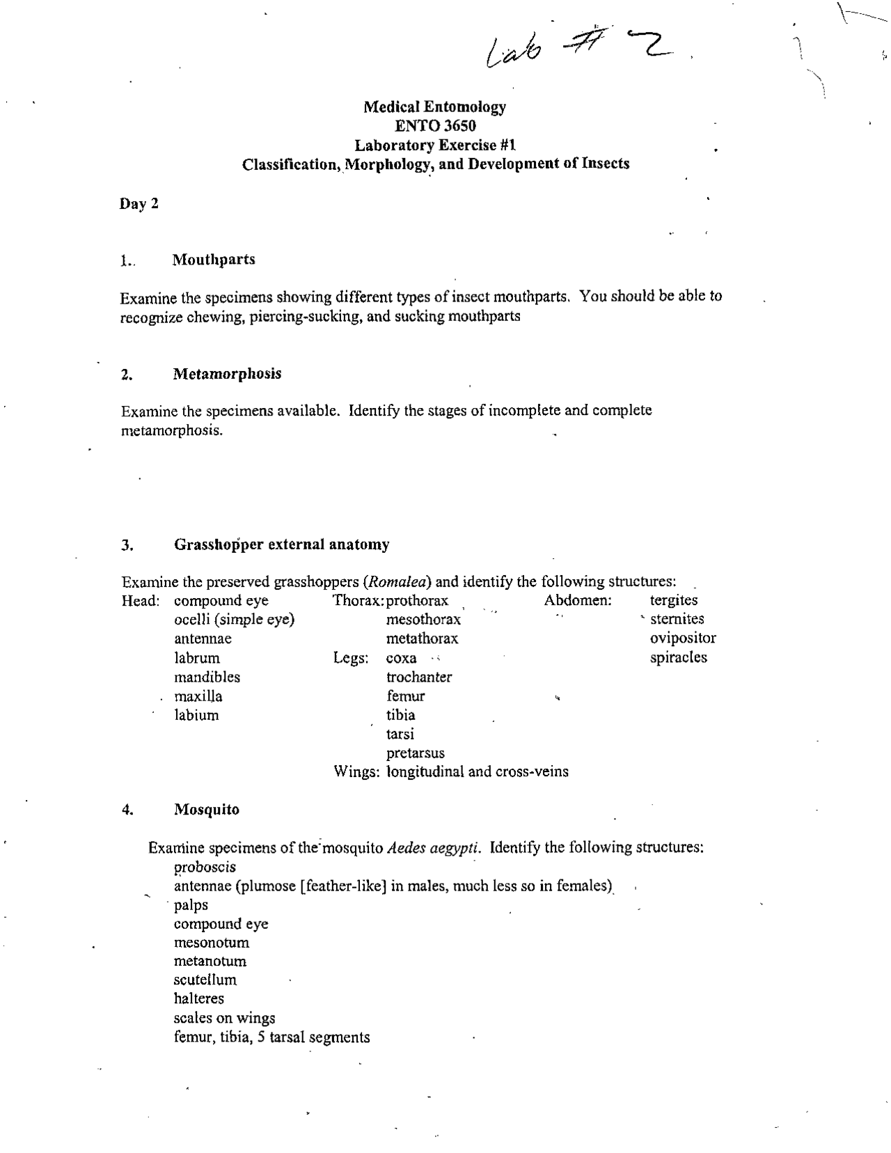 Classification Morphology And Development Of Insects Lab 2 Ento