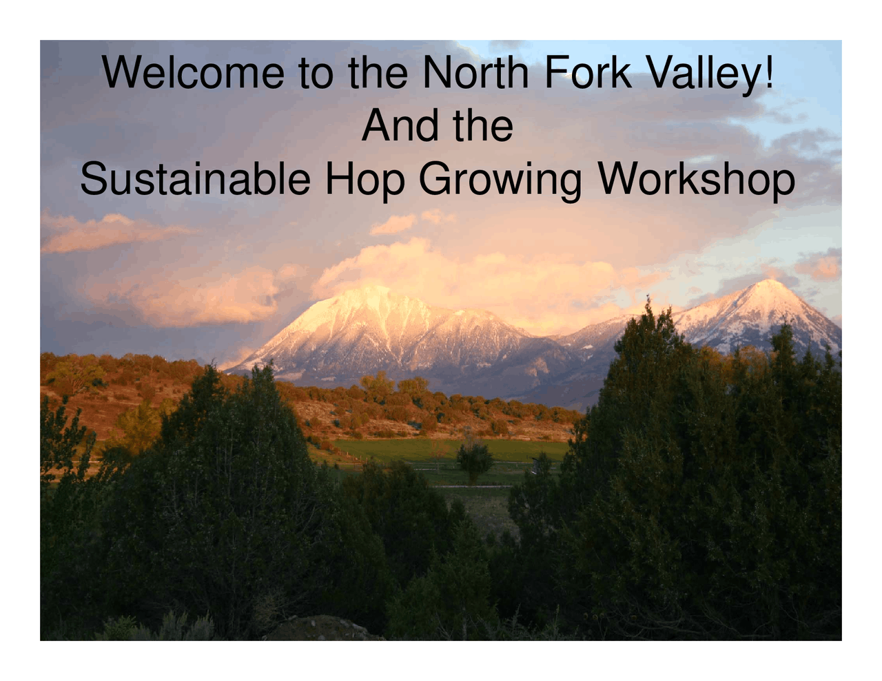 The Sustainable Hop Growing Workshop Cr Conrg Docsity