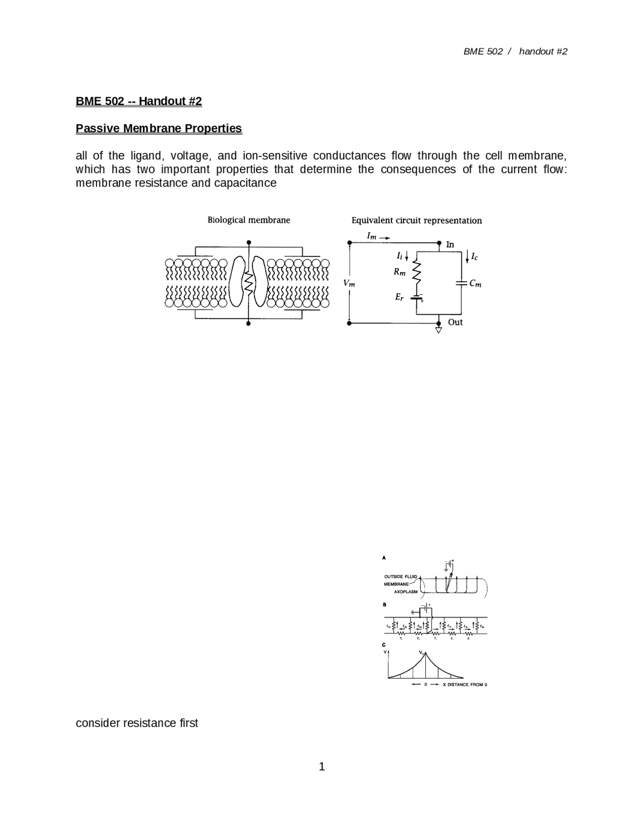 Passive Membrane Properties Handout Bme 502 Docsity