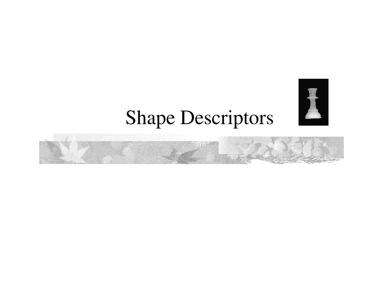 Shape Descriptors - Computer Vision Systems | CAP 6411 - Docsity