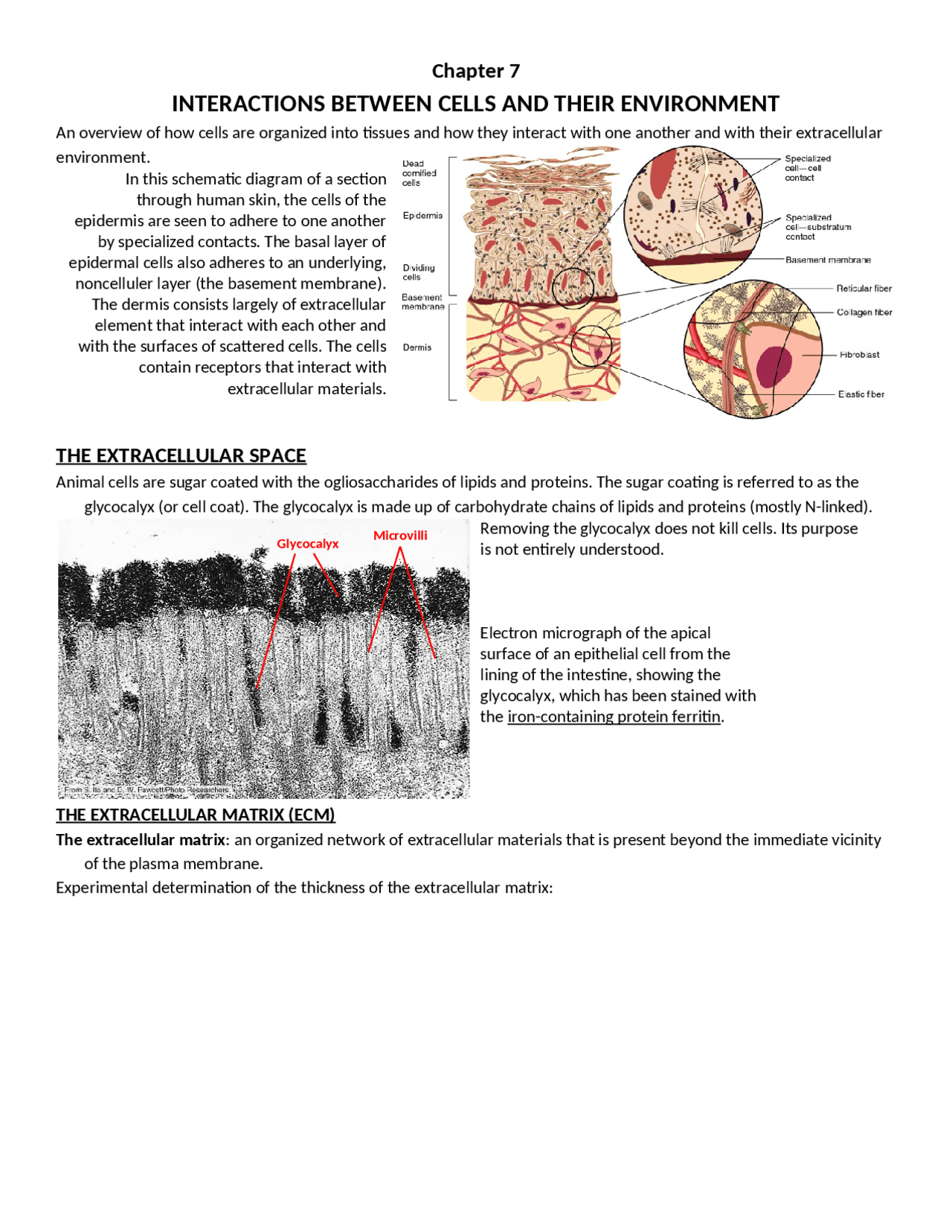 Notes on Interactions between Cells and Their Environment | BIO 315 ...