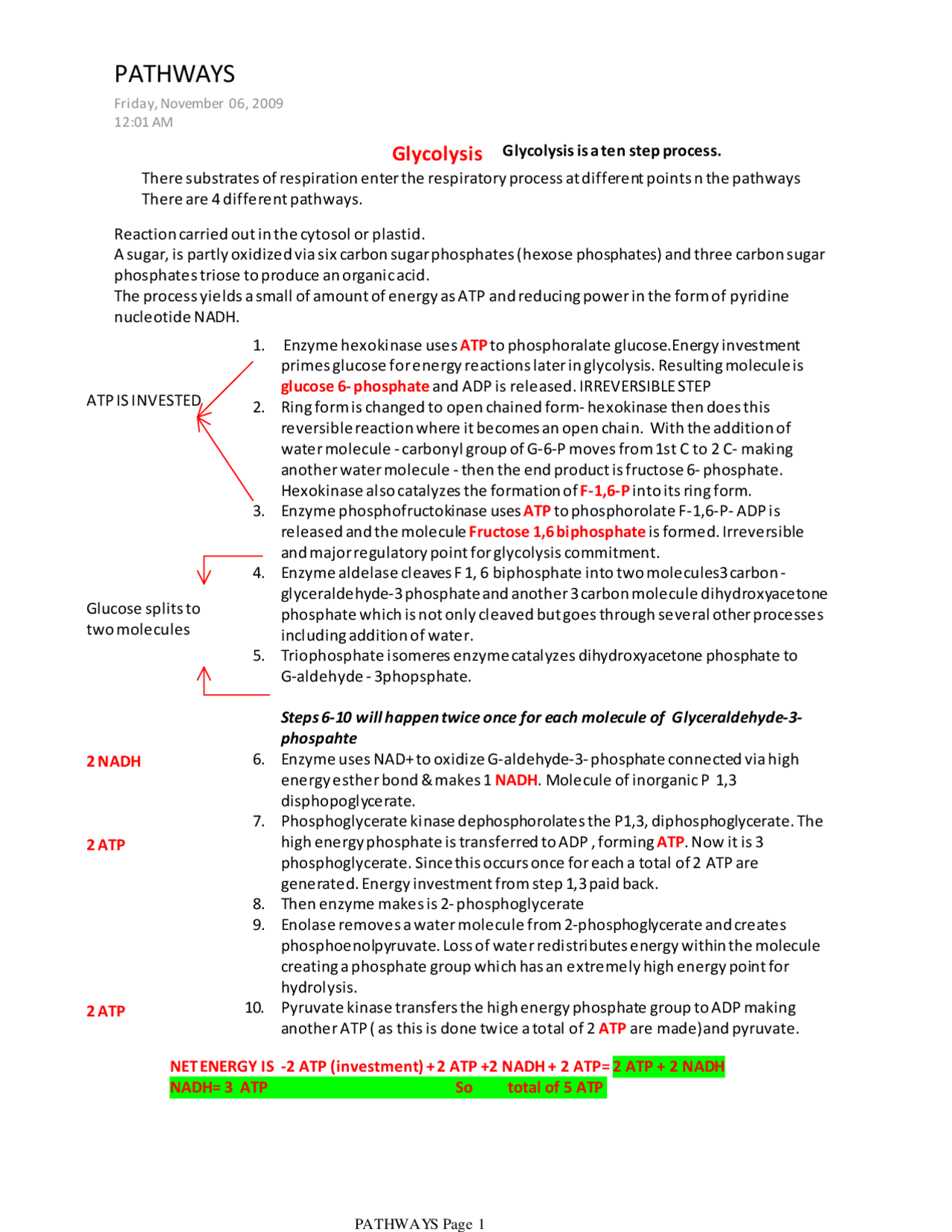 Glycolysis Pathways Lecture Notes Bio 430g Docsity
