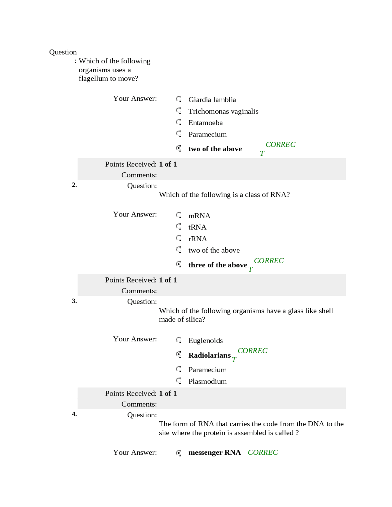 Quiz With Answers Life Science I Bly 101 Docsity