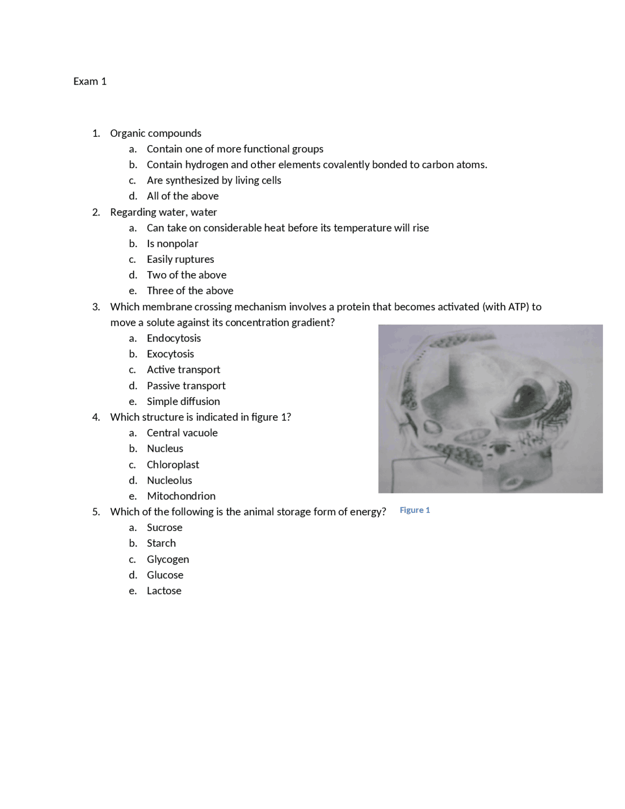 Practice Exam 1 For Life Science I Bly 101 Docsity