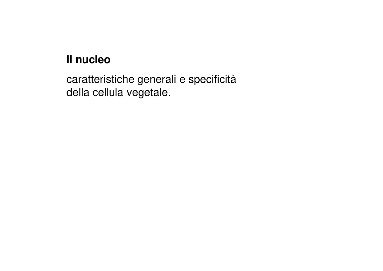 Biologia Dei Microrganismi Micologia Il Nucleo Docsity