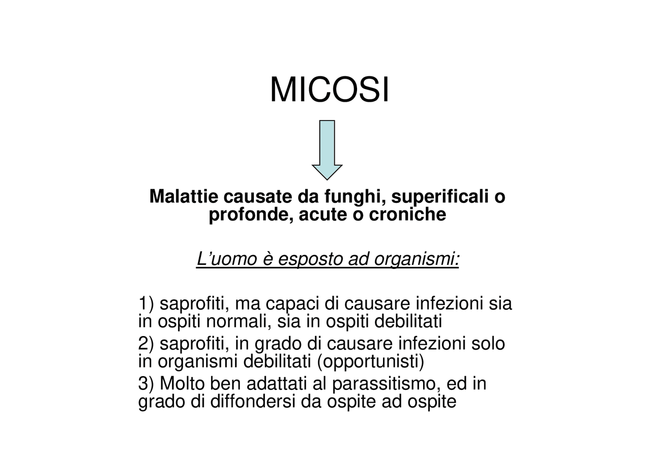 Biologia Dei Microrganismi Micologia Micosi Docsity