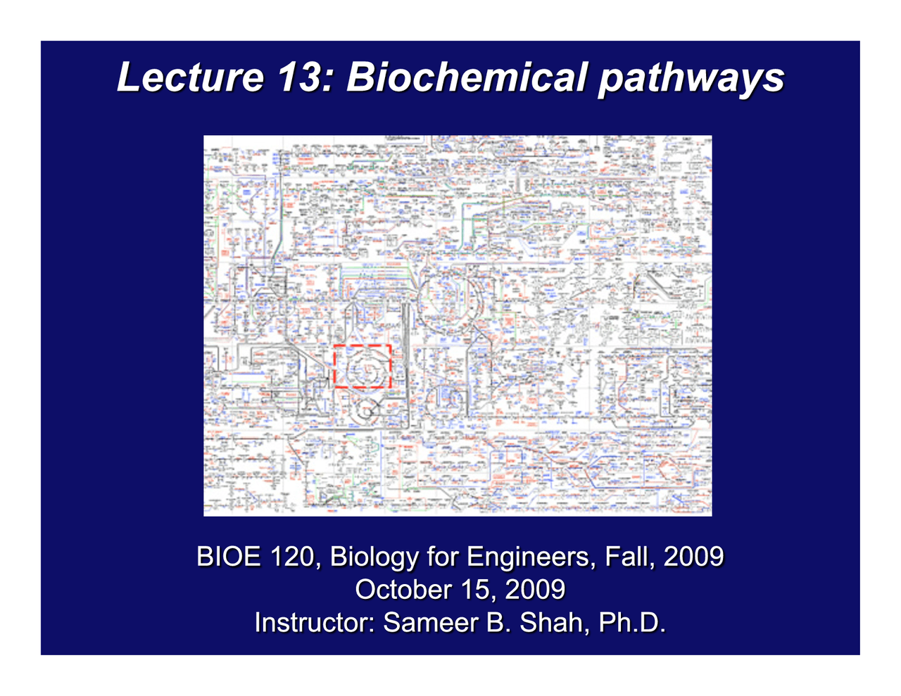 Biochemical Pathways Biology For Engineers Lecture Slides Bioe