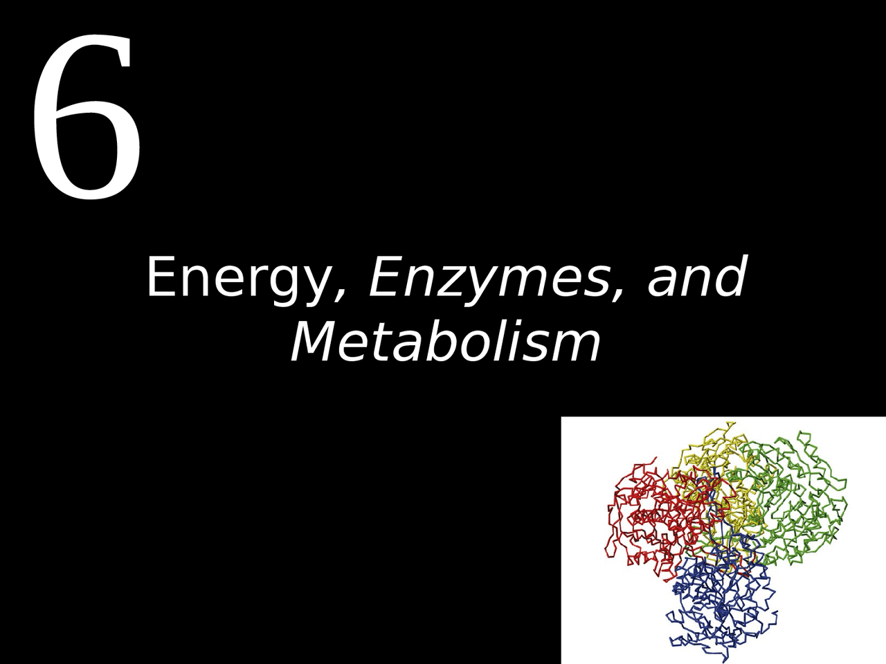 Energy Enzymes And Metabolism Notes Biol 1107 Docsity
