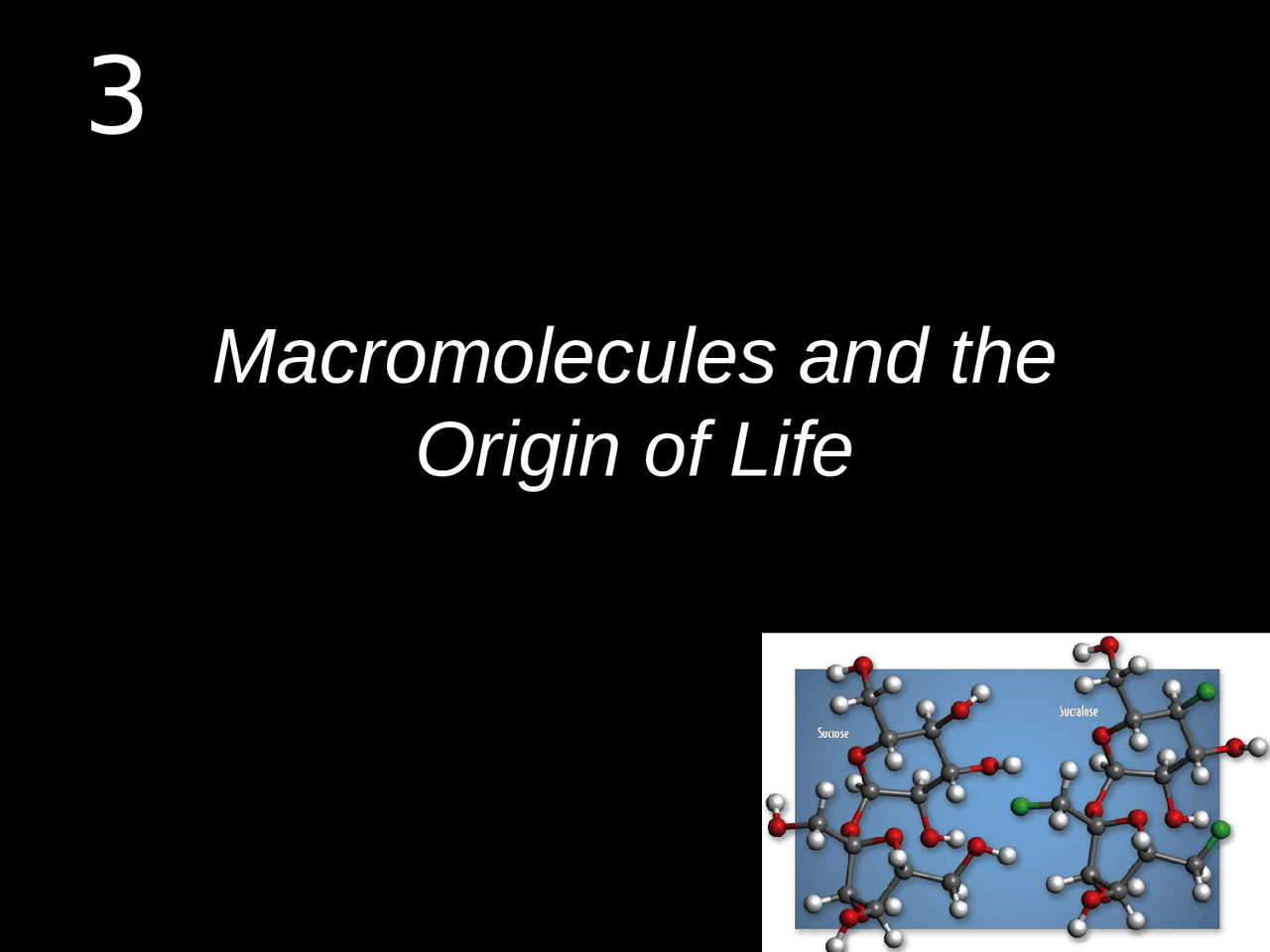 Macromolecules And The Origin Of Life Lecture Notes Biol 1107