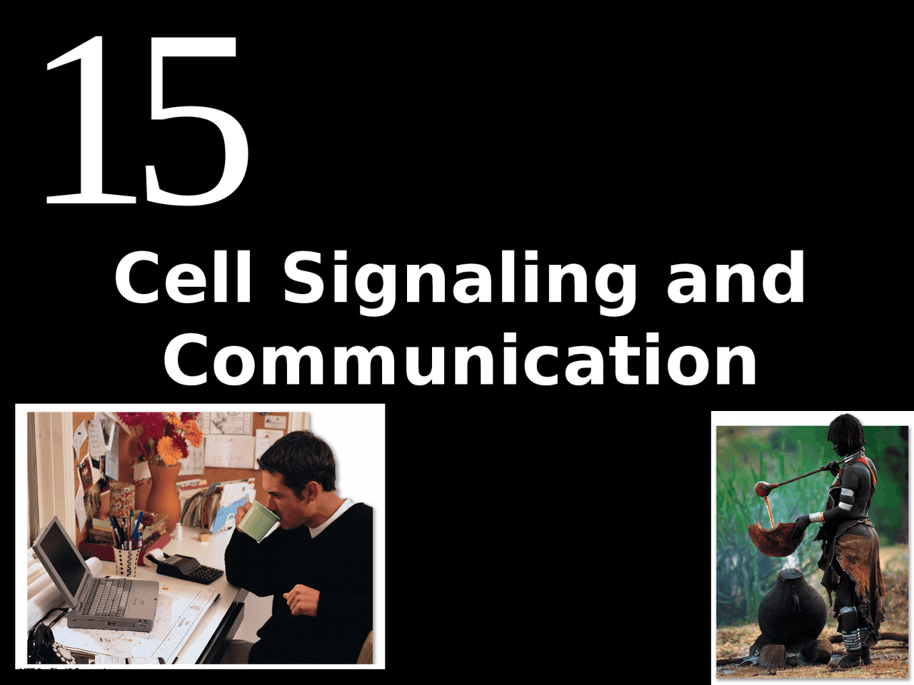 Cell Signaling and Communication - Principles of Biology I | BIOL 1107 ...