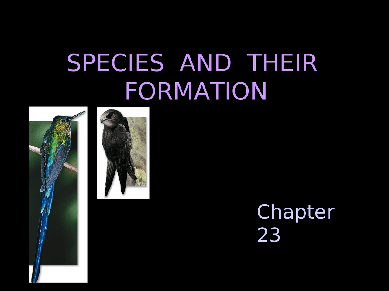 Species And Their Formation Lecture Slides Biol 1107 Docsity
