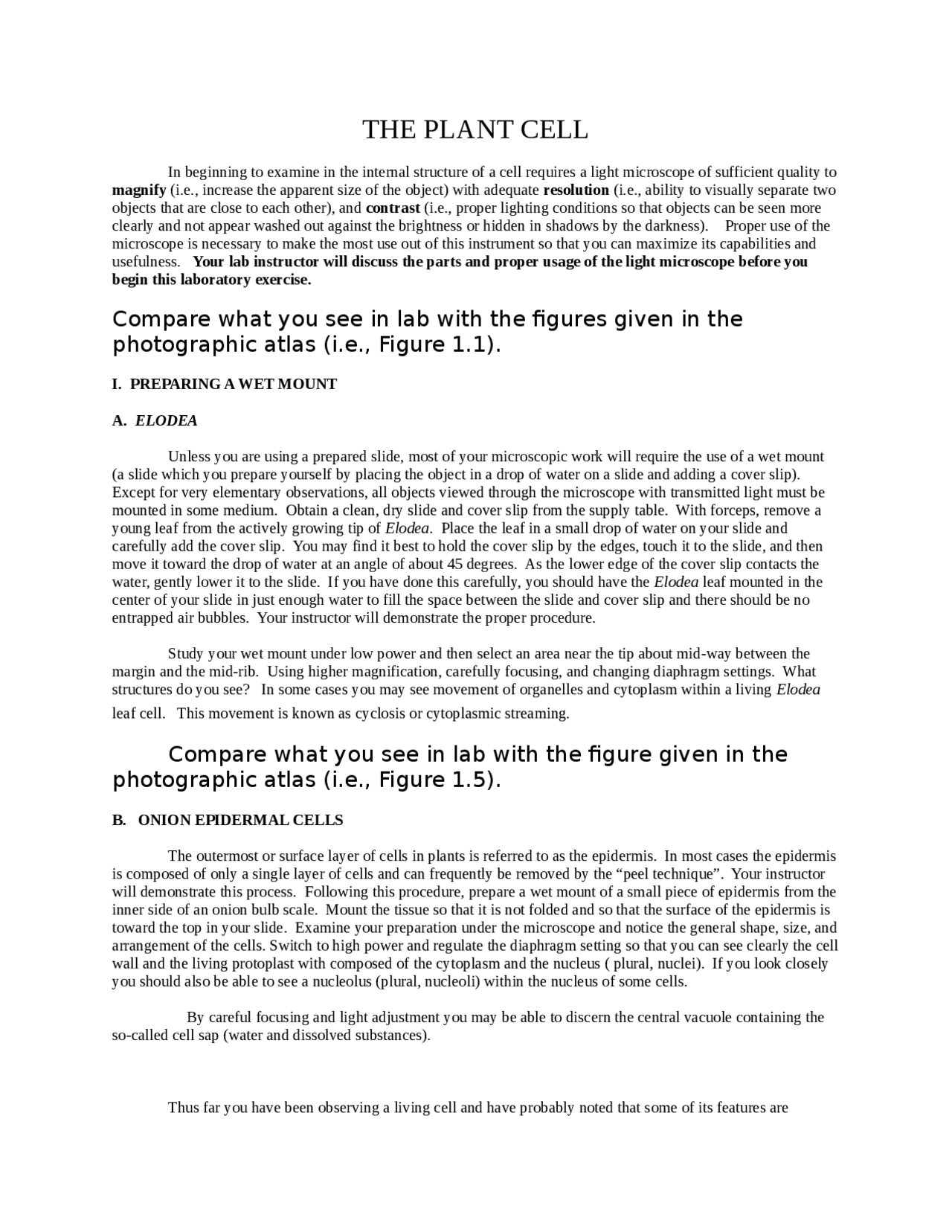 The Plant Cell - Biology of Plants Laboratory - Lab II | BIO 1501 - Docsity