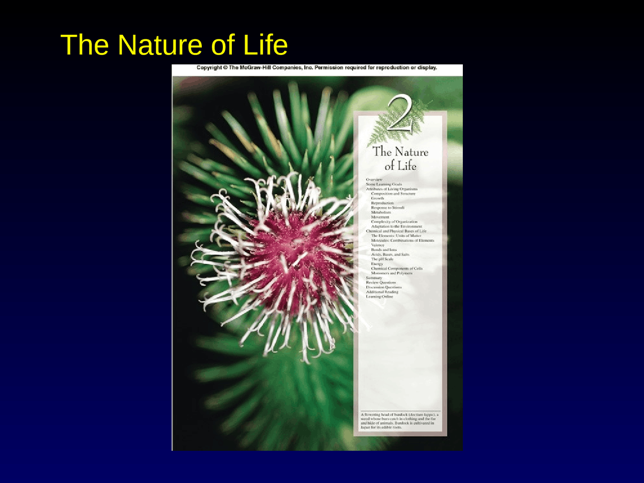 Life's Nature: Overview of Organisms' Attributes, Bases, and Components ...