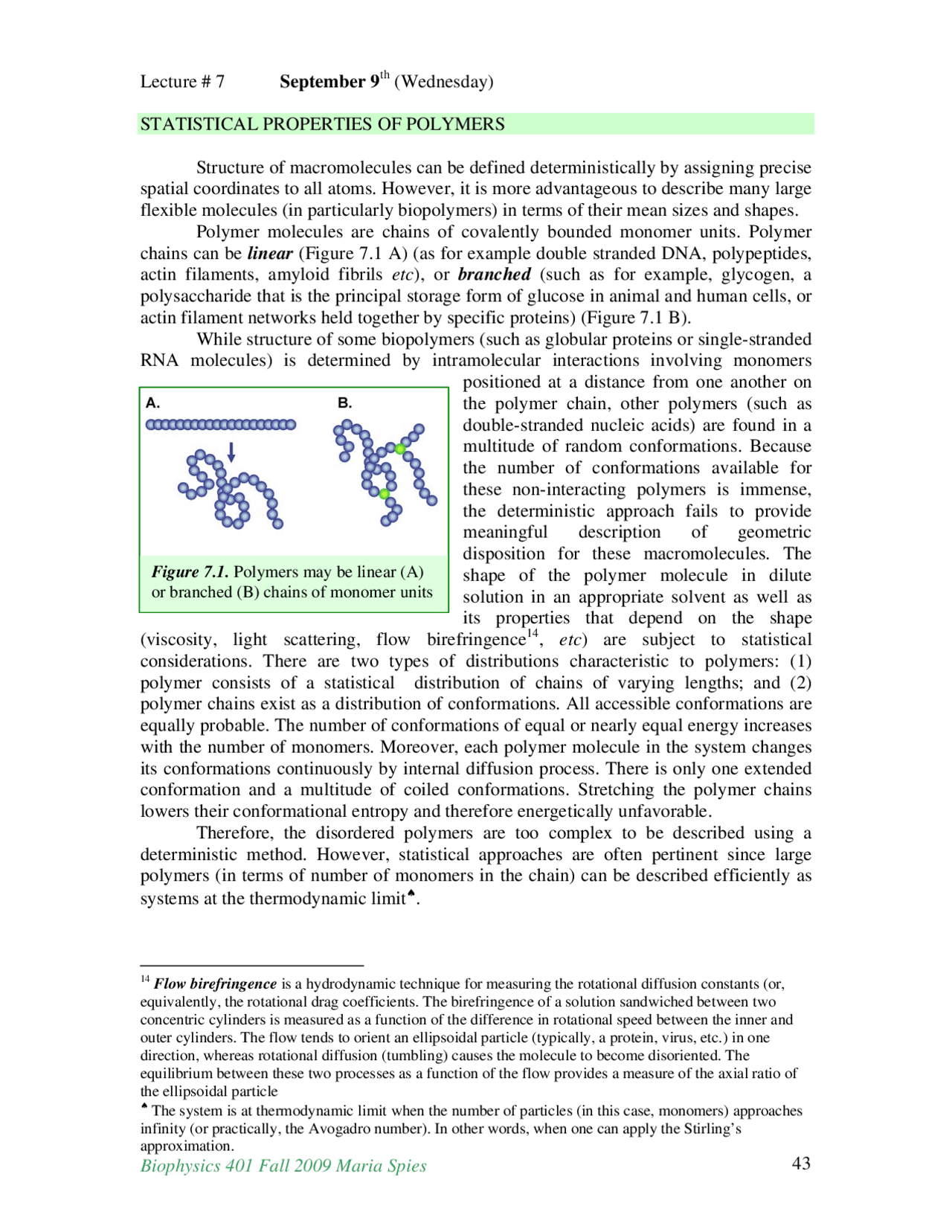Statistical Properties Of Polymers Introduction To Biophysics Biop