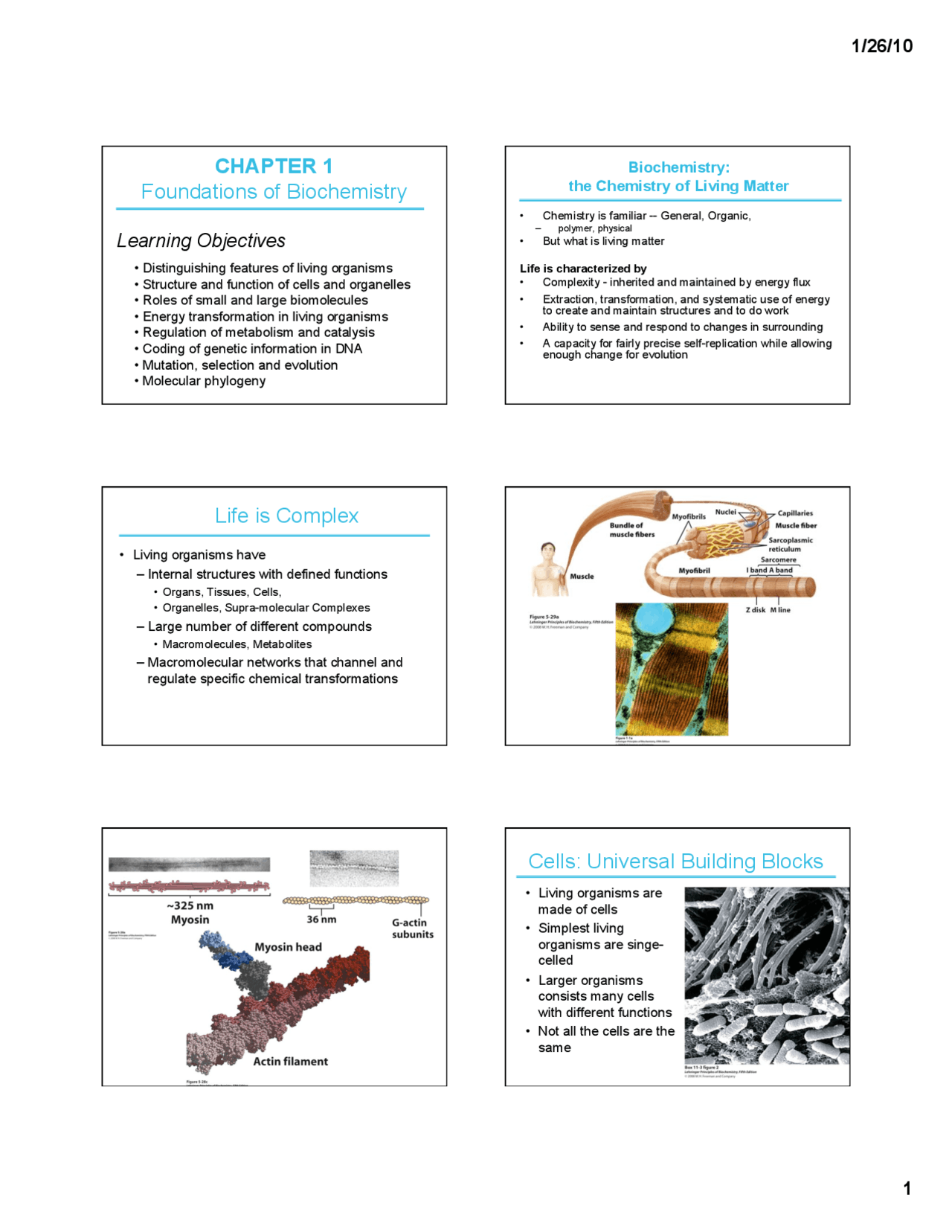 Foundations Of Biochemistry Lecture Slides Chem 471 Docsity