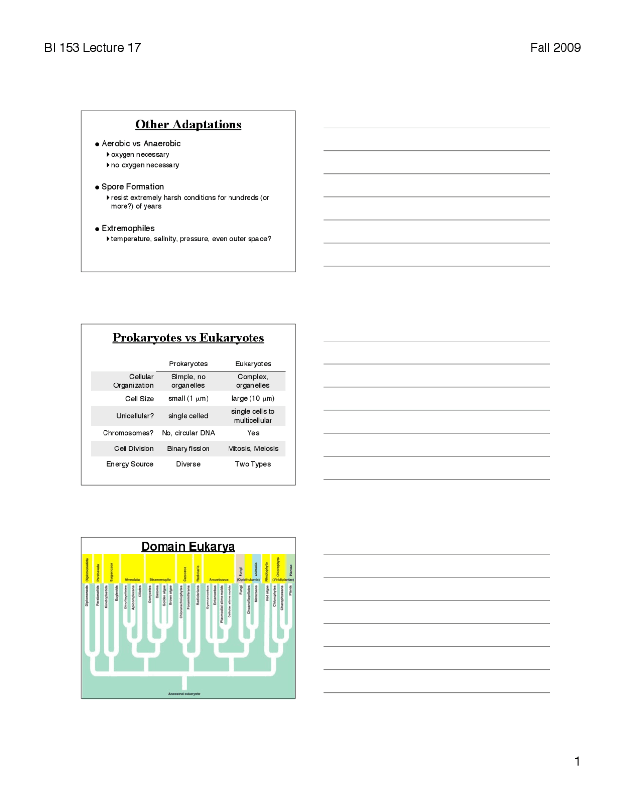 Prokaryotes Vs Eukaryotes Metabolism Lecture Slides Bi 153 Docsity