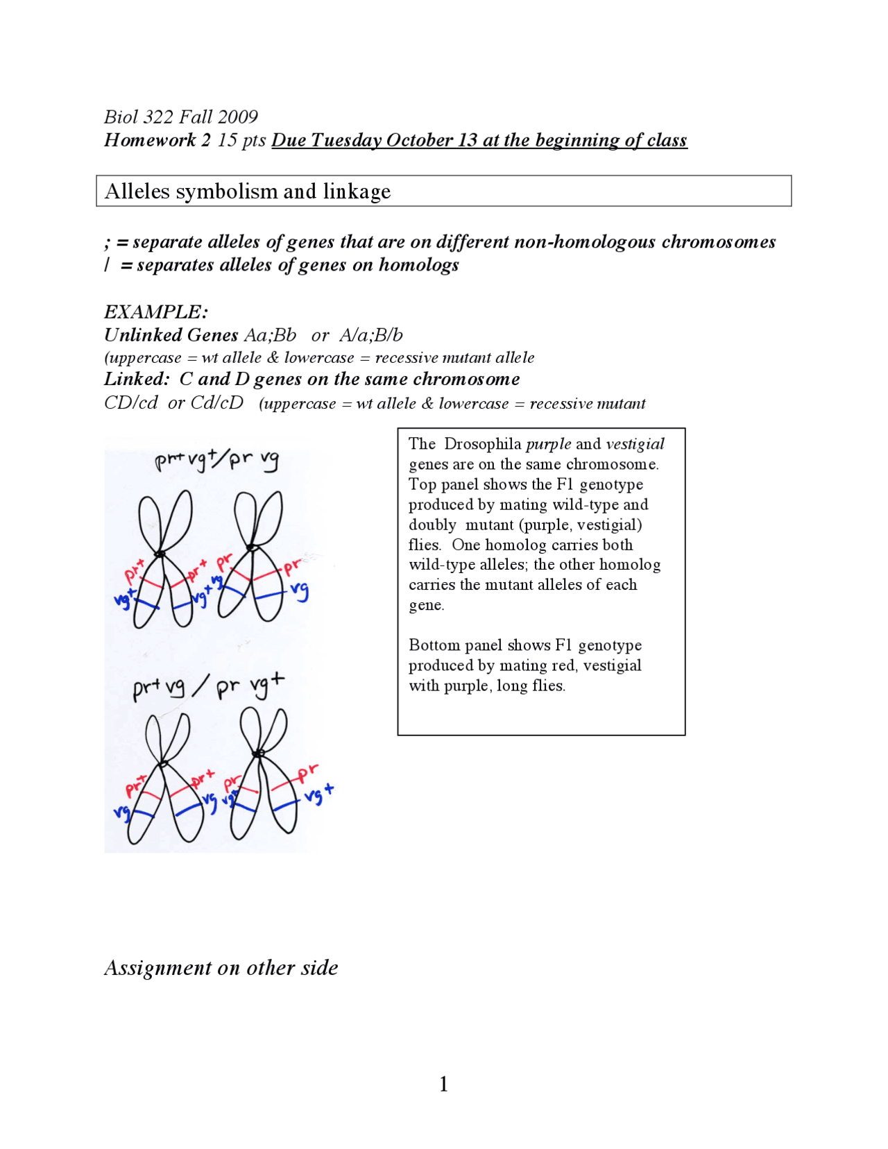 Genetics Lab Assignment 1 Solutions Biol 322 Docsity