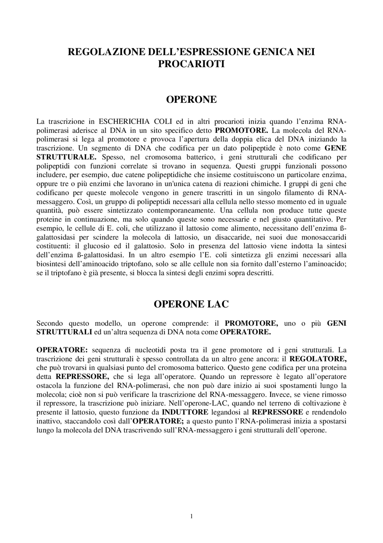 Procarioti E Eucarioti Appunti Docsity
