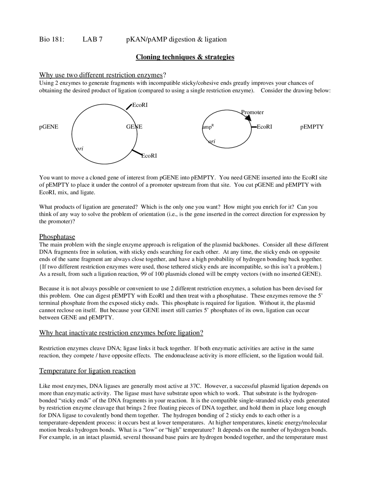 Cloning Techniques and Strategies - Digestion and Ligation | BIO 181 ...