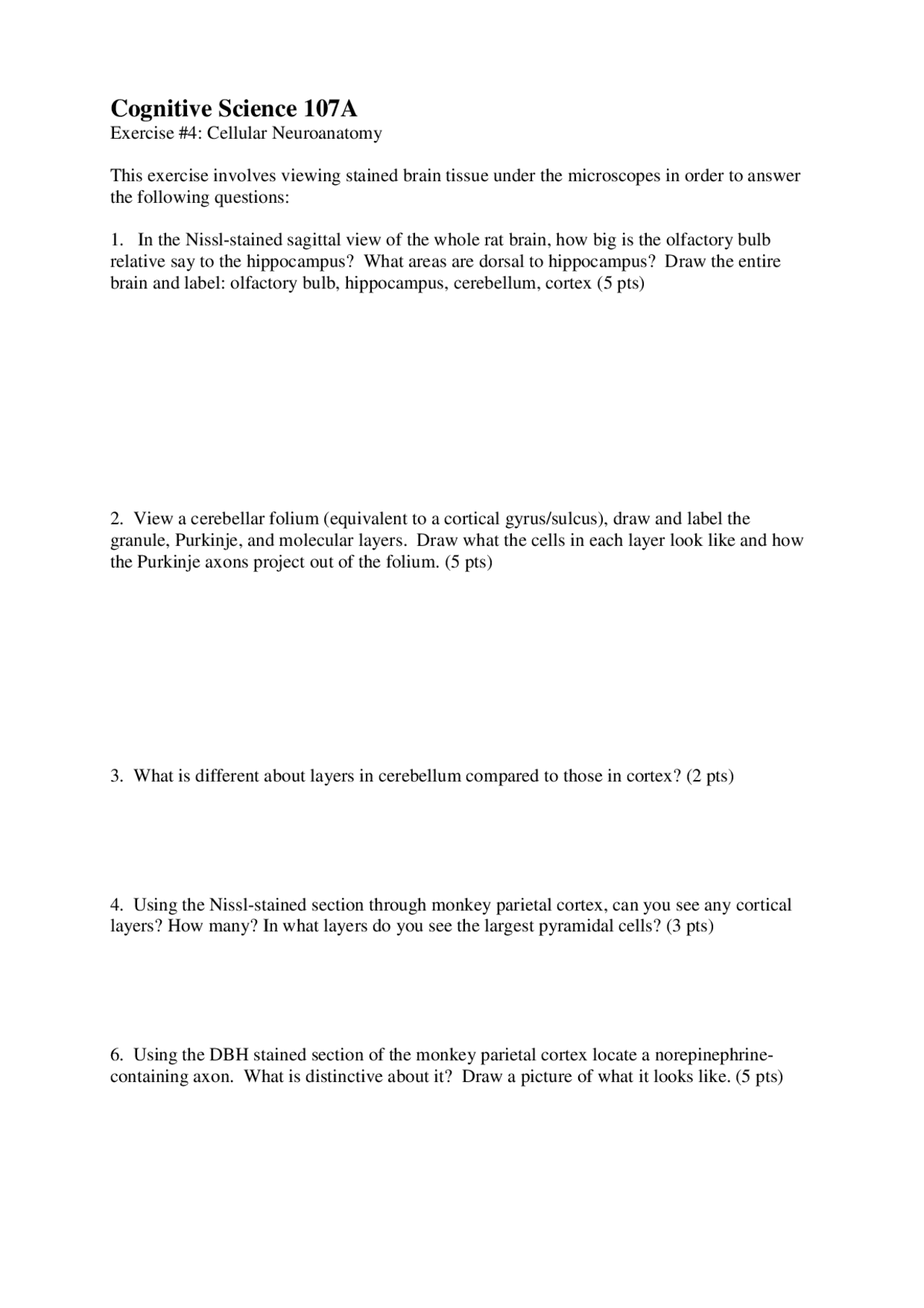 6 Questions For Assignment 4 Neuroanatomy And Physiology Cogs 107a
