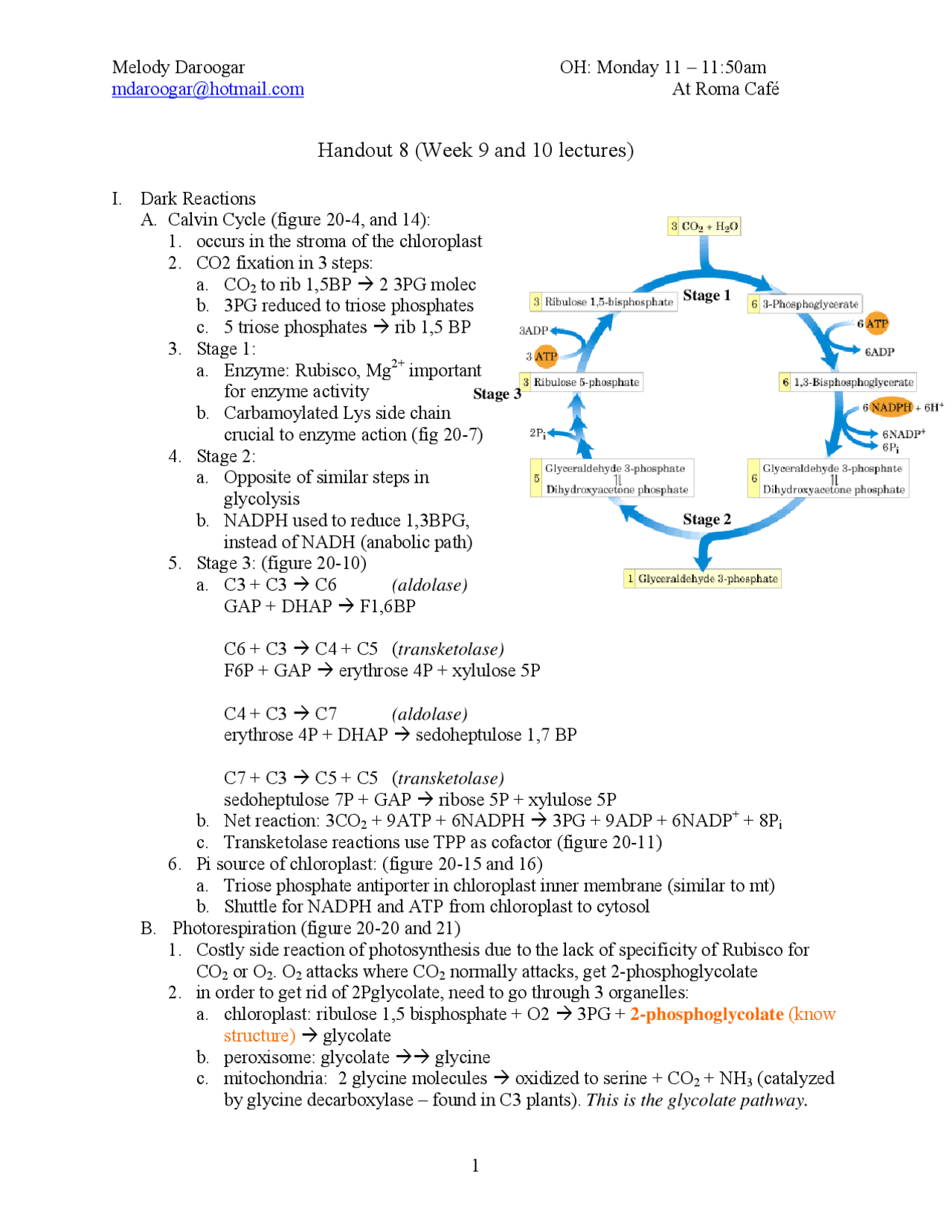 Metabolic Biochemistry Handout Notes Bibc 102 Docsity
