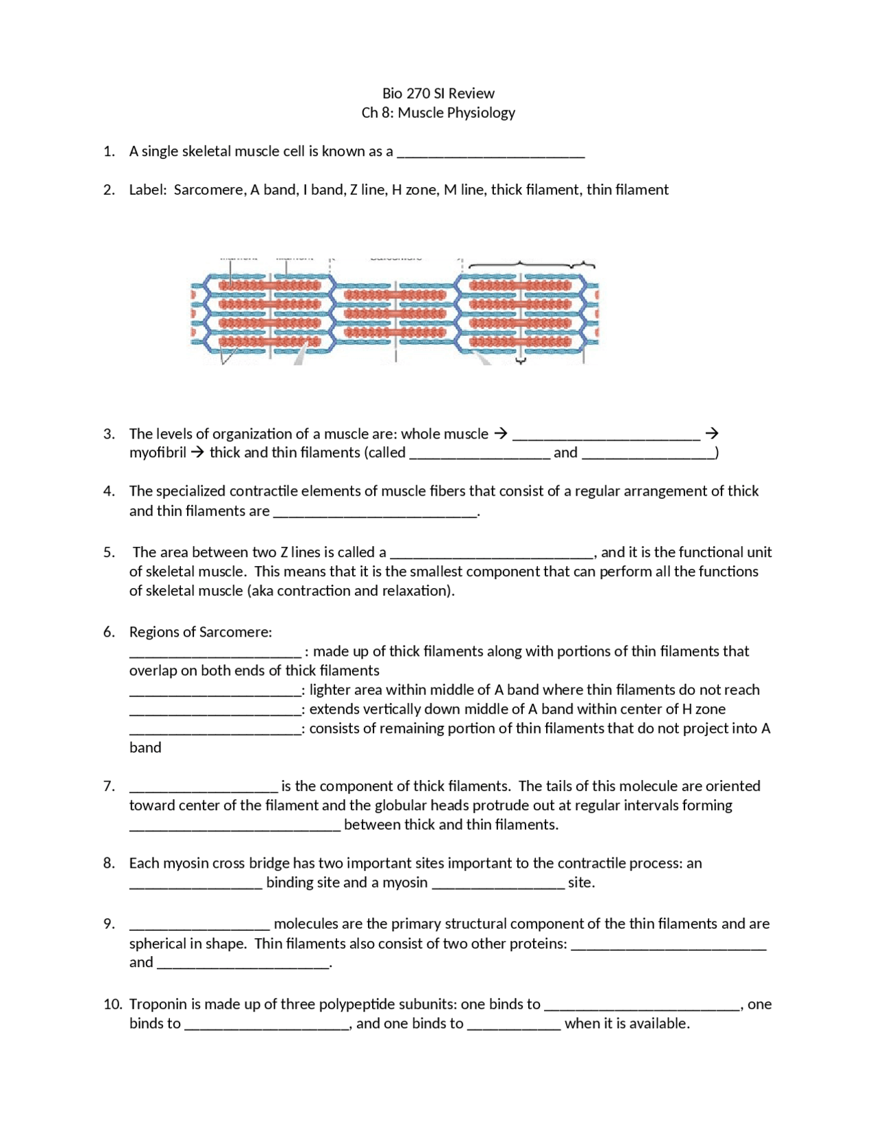 Muscle Physiology - Human Physiology – Review | BIO 270 - Docsity