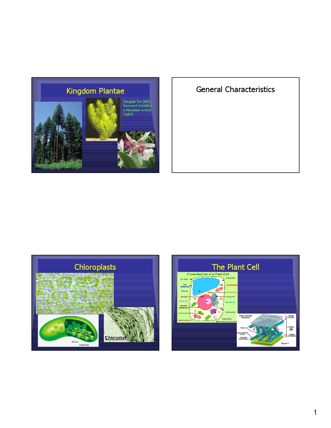 Kingdom Plantae - Lecture Slides - General Biology II | BIOL 1020 - Docsity
