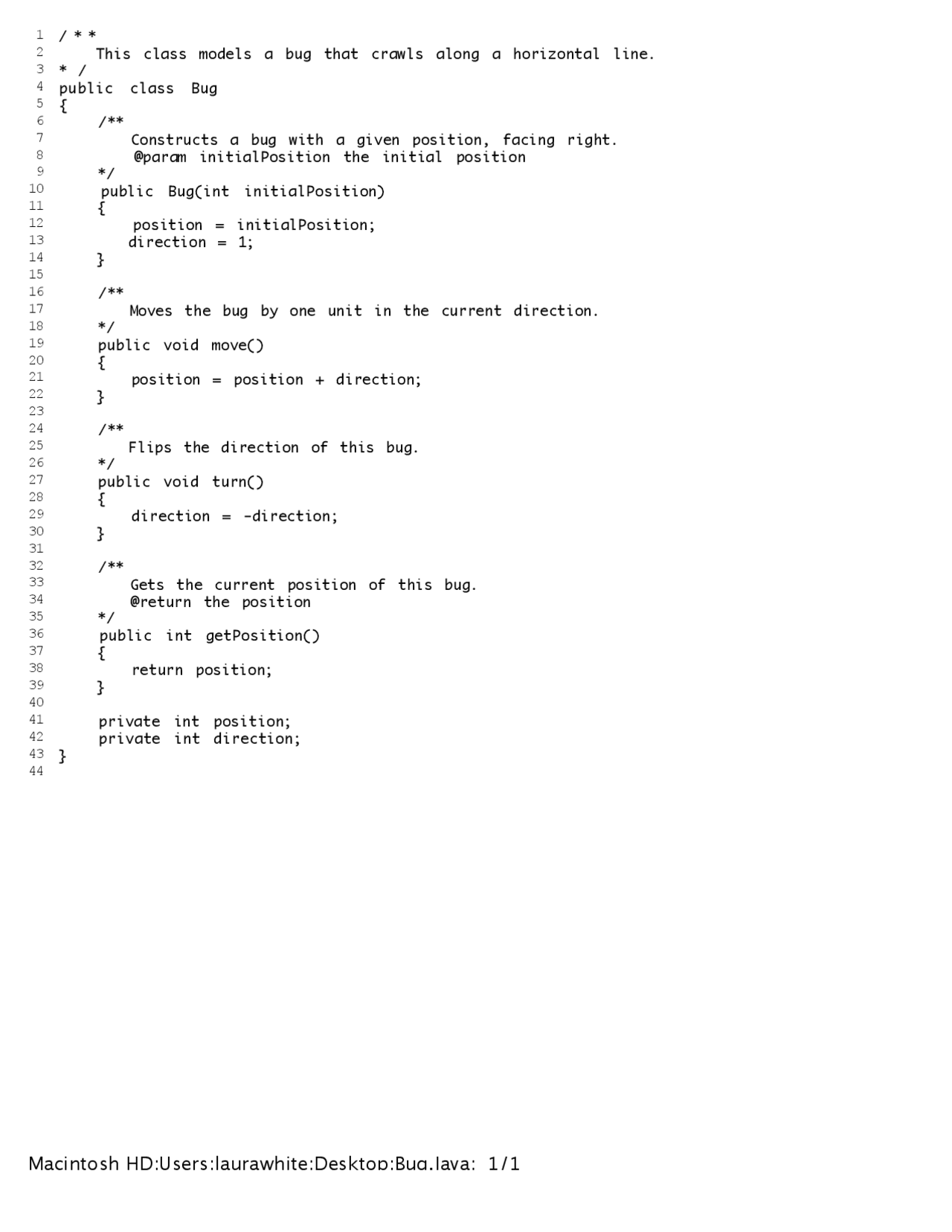 Cass Models A Bug Introduction To Java Programming Handout Docsity