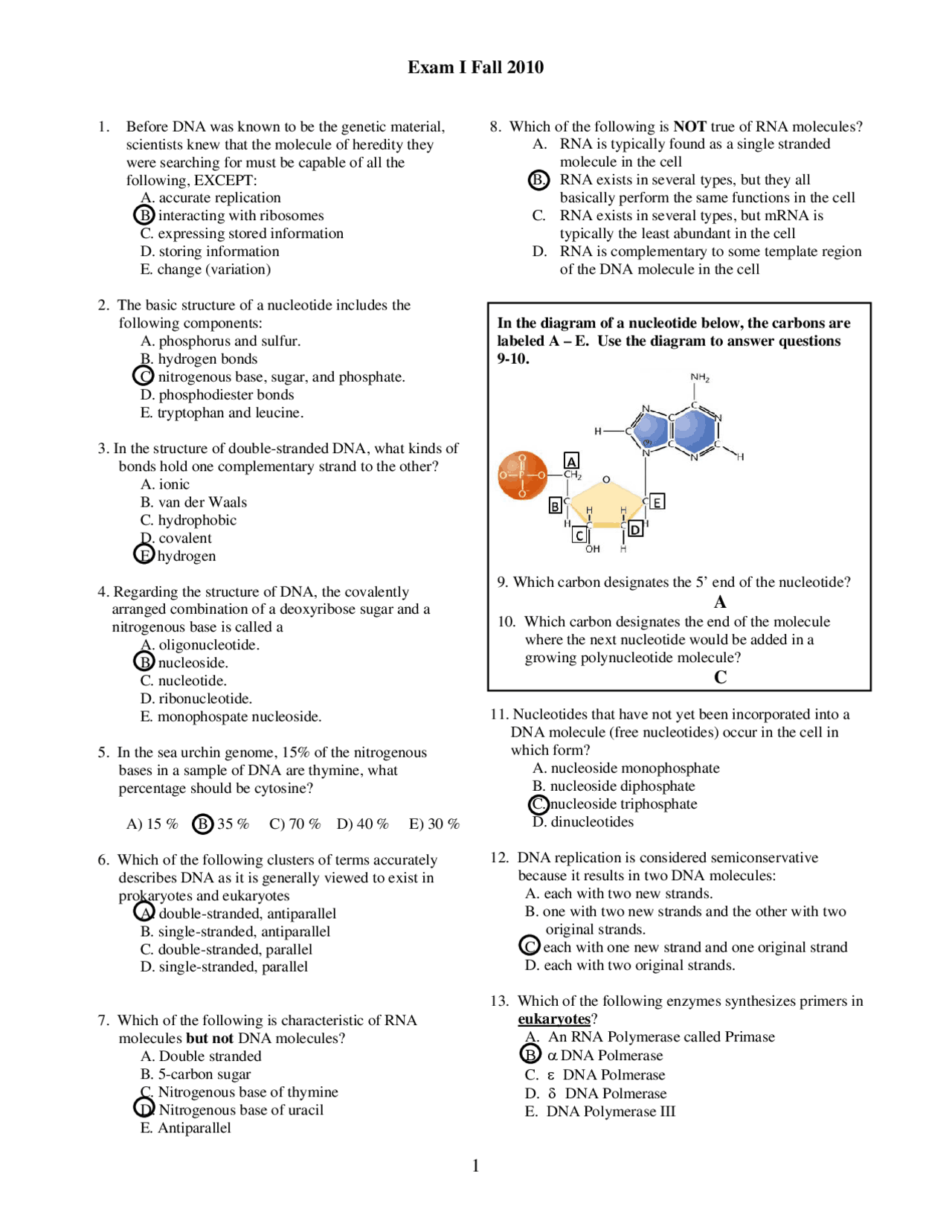 Exam 1 With Answer Key For Principles Of Genetics Biol 3130 Docsity