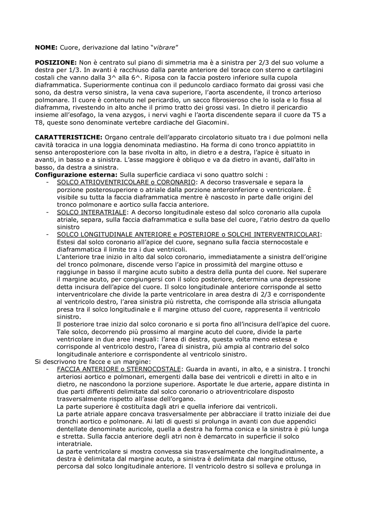 Anatomia Cuore Docsity