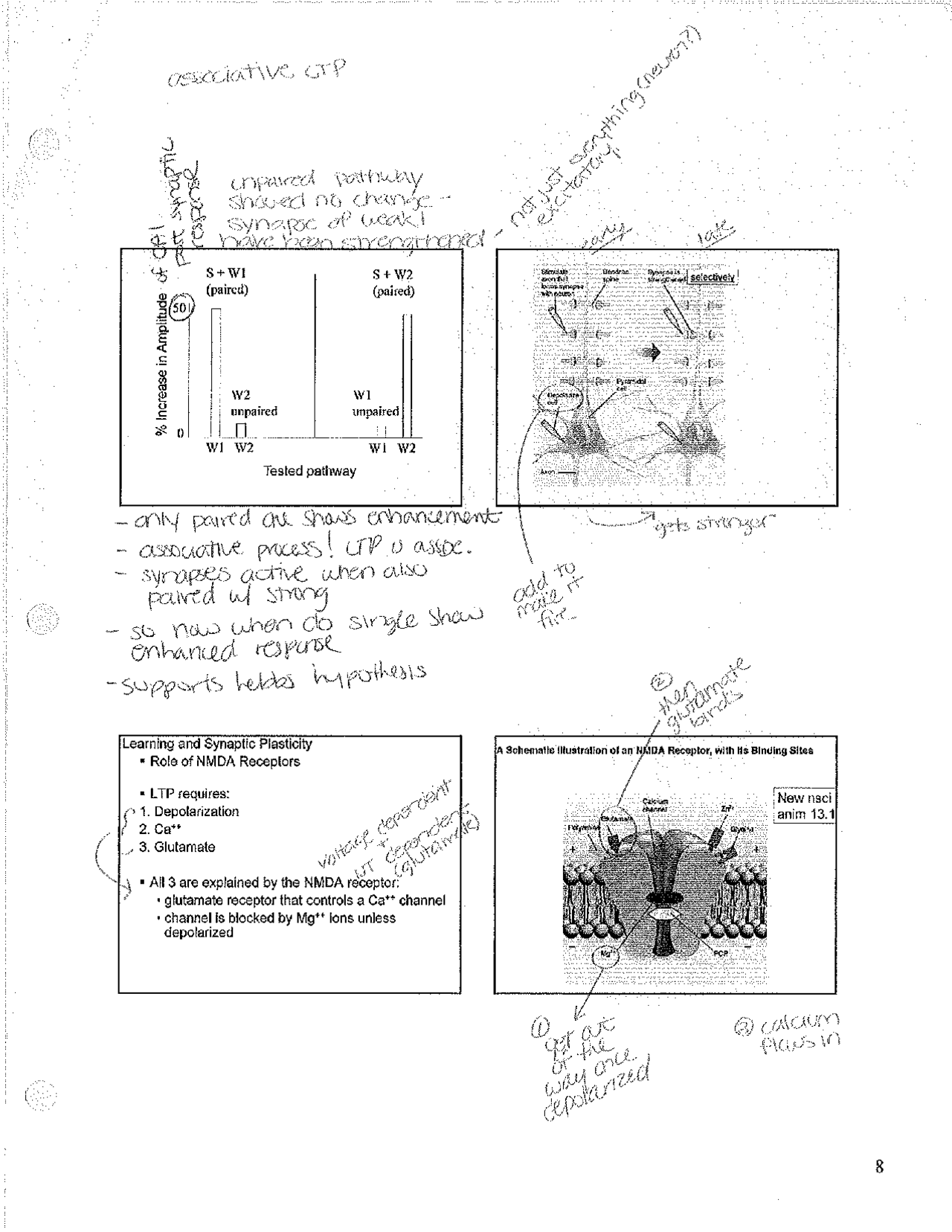 Lecture Slides On Physiological Psychology 830 313 Docsity
