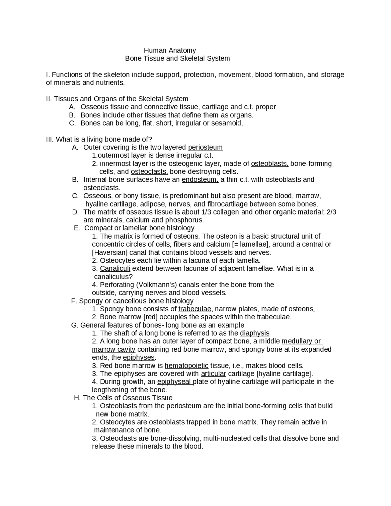 Bone Tissue And Skeletal System Lecture Notes Biol 113 Docsity