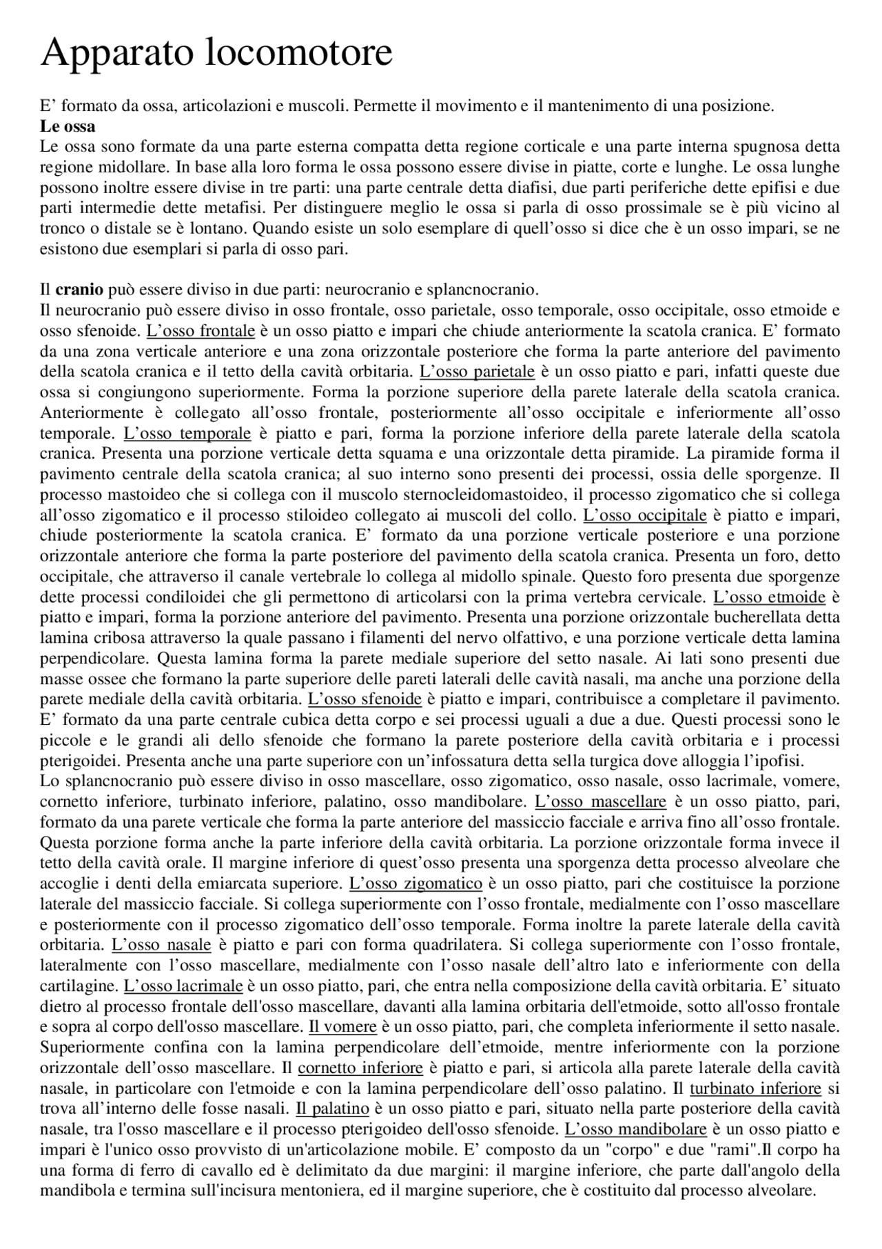 Anatomia Apparato Locomotore Appunti Docsity
