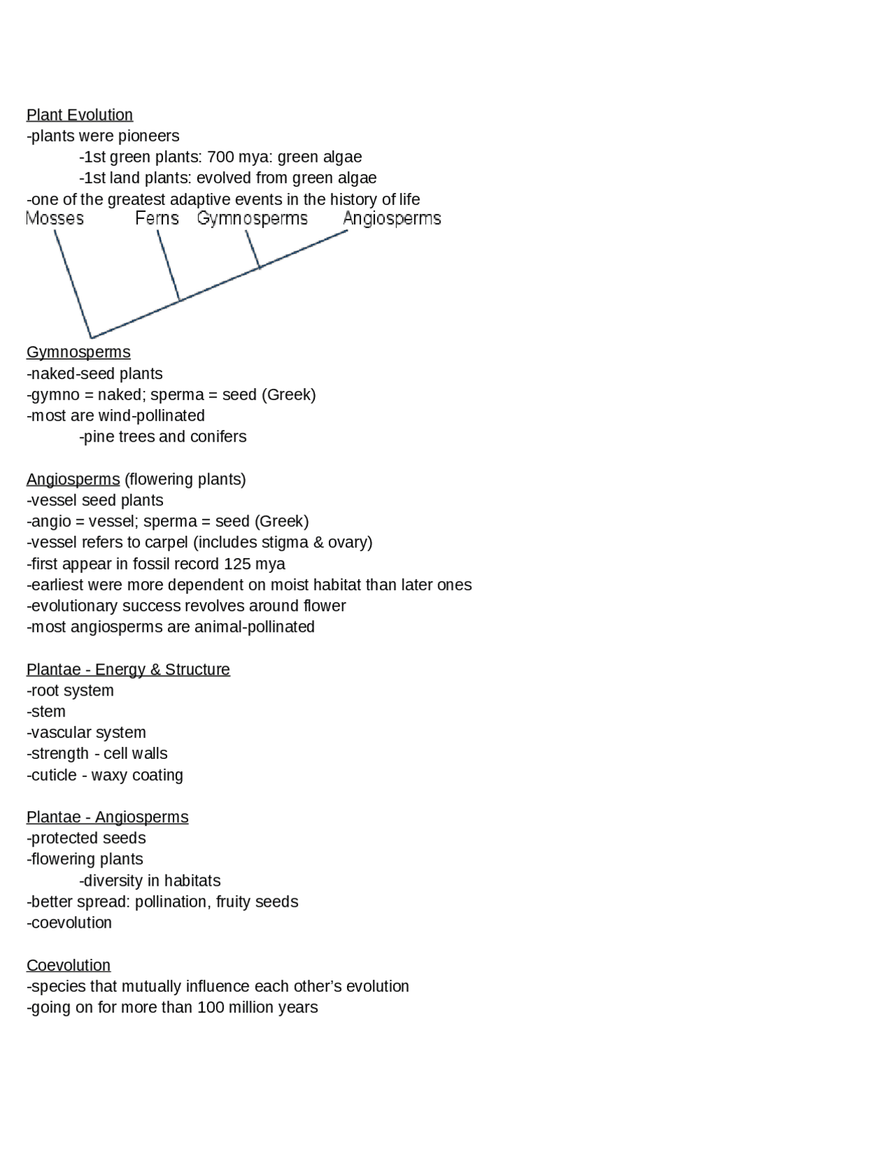 Gymnosperms and Angiosperms in Plant Evolution | Bio Sci 1A | Study ...