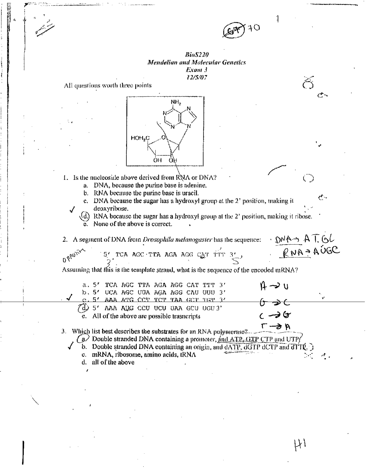Exam 3 With Solution For Mendelian And Molecular Genetics Ad 140