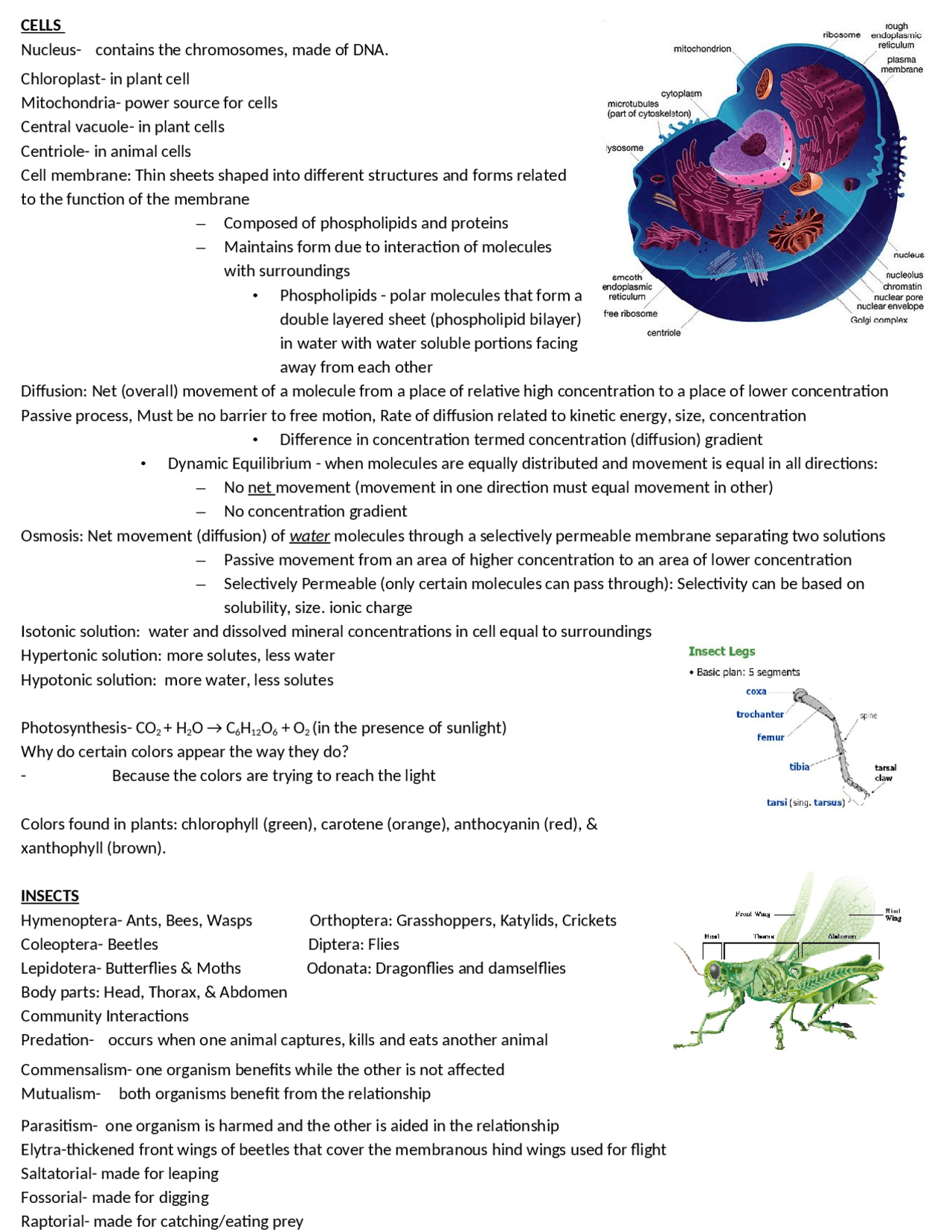 Biology: Cells, Photosynthesis, Genetics, and Ecology - Prof. Heather ...