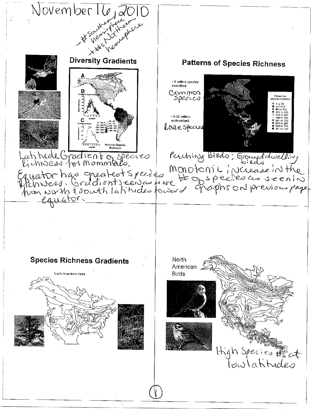 Diversity Gradients - Solved Handwritten Notes | BIOL 4253 - Docsity