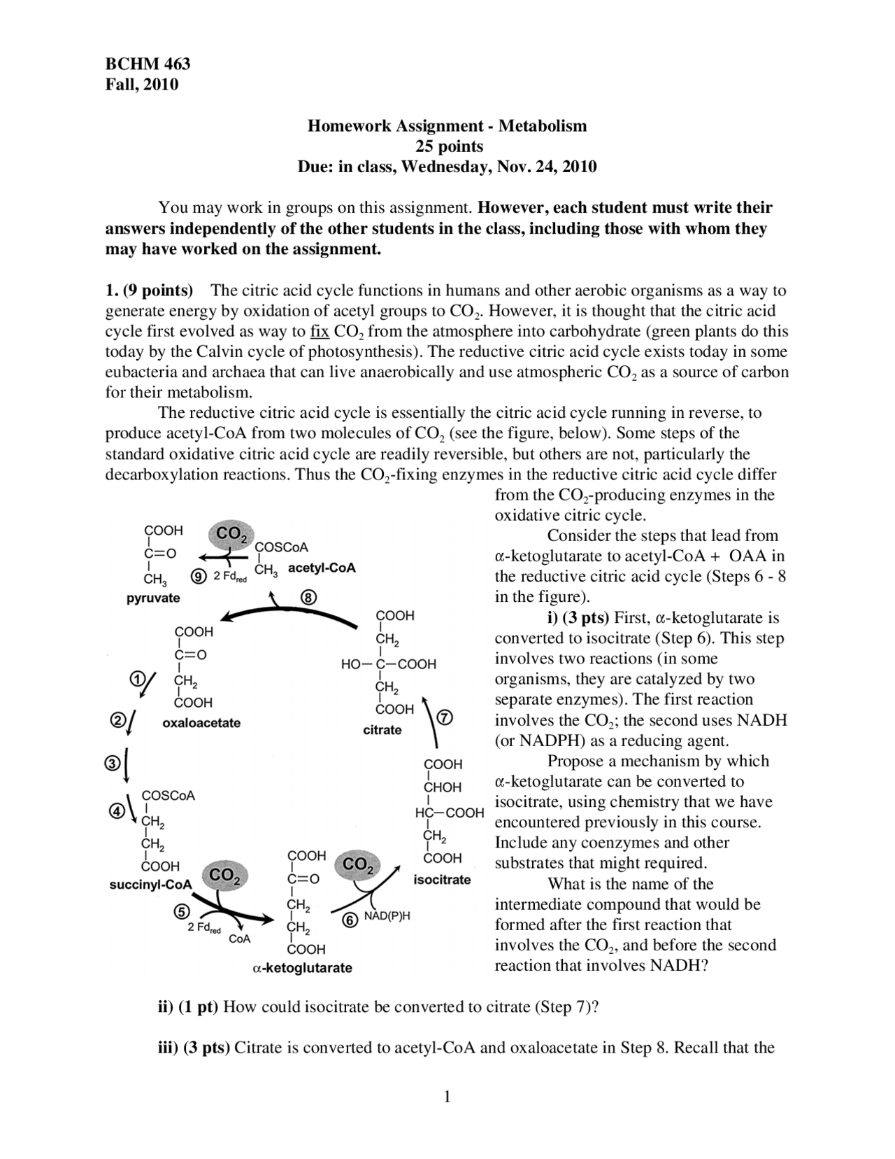 Assignment 2 Metabolism Biochemistry Of Physiology Bchm 463 Docsity