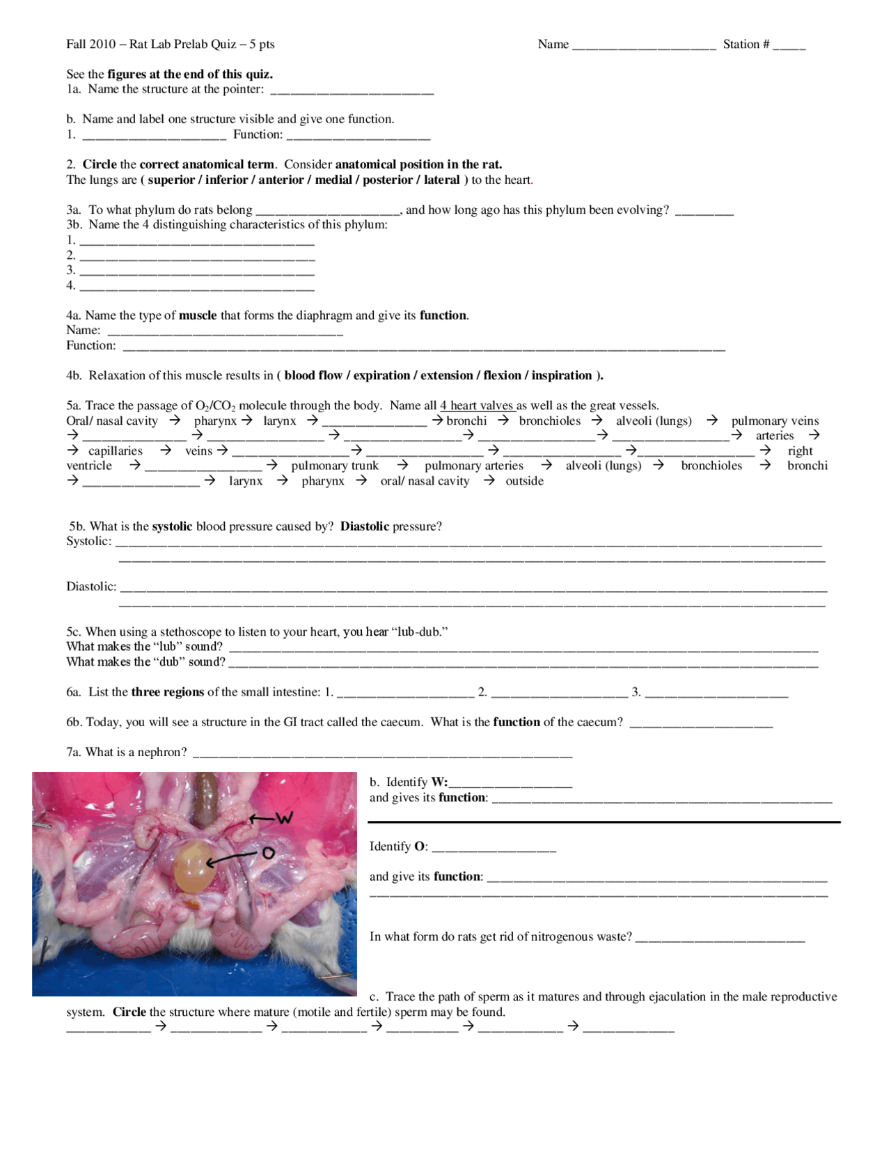 General Biology Laboratory - Quiz 10 | BIOL 1AL - Docsity