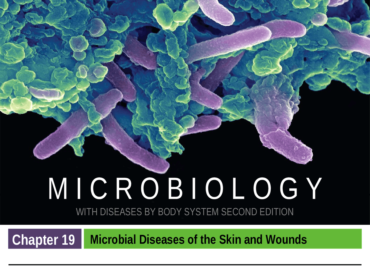Microbial Diseases of the Skin and Wounds - Lecture Slides | MICR 210 - Docsity