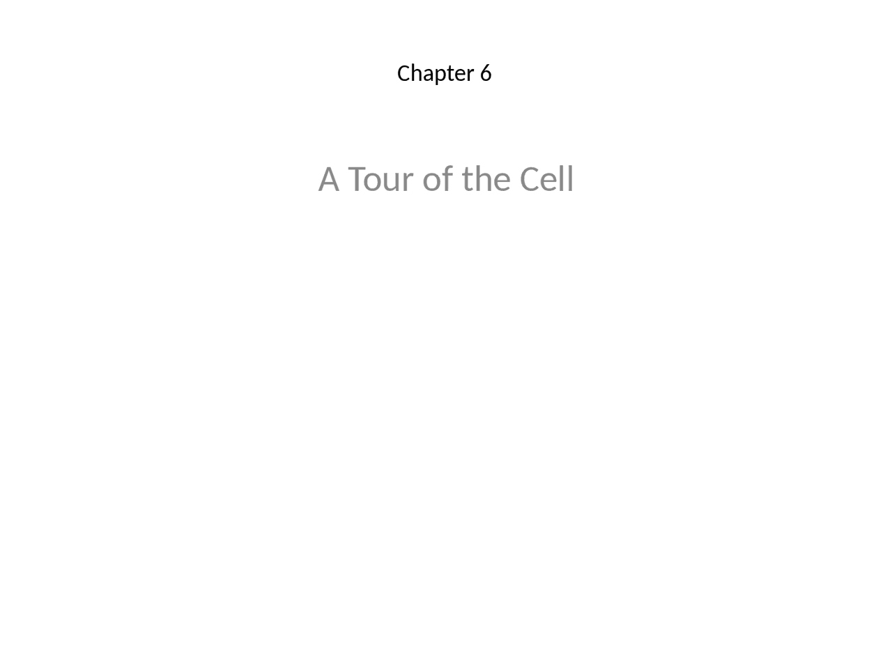 A Tour Of The Cell Lecture Slides Biol 1710 Docsity