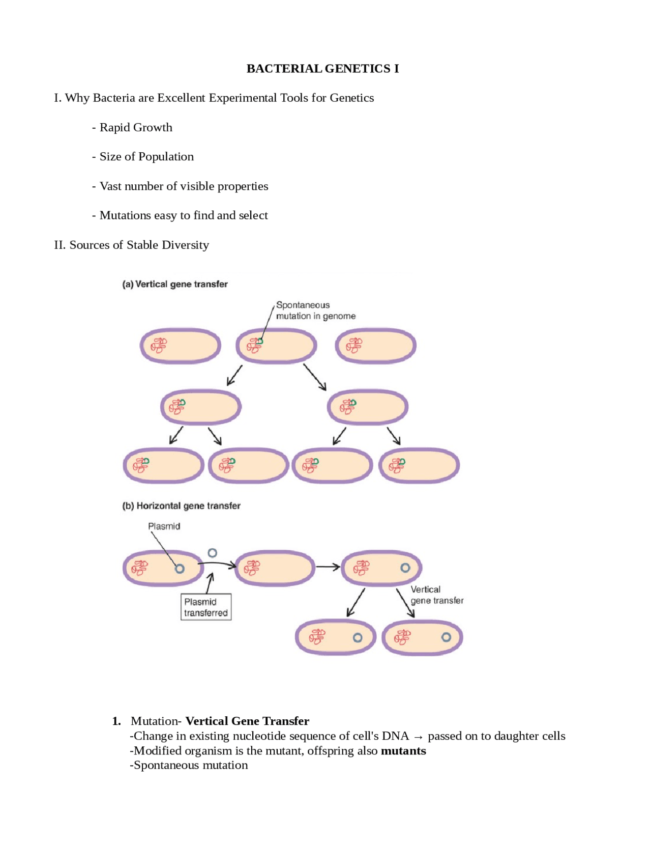 Bacterial Genetics I - General Microbiology | MICROM 301 - Docsity