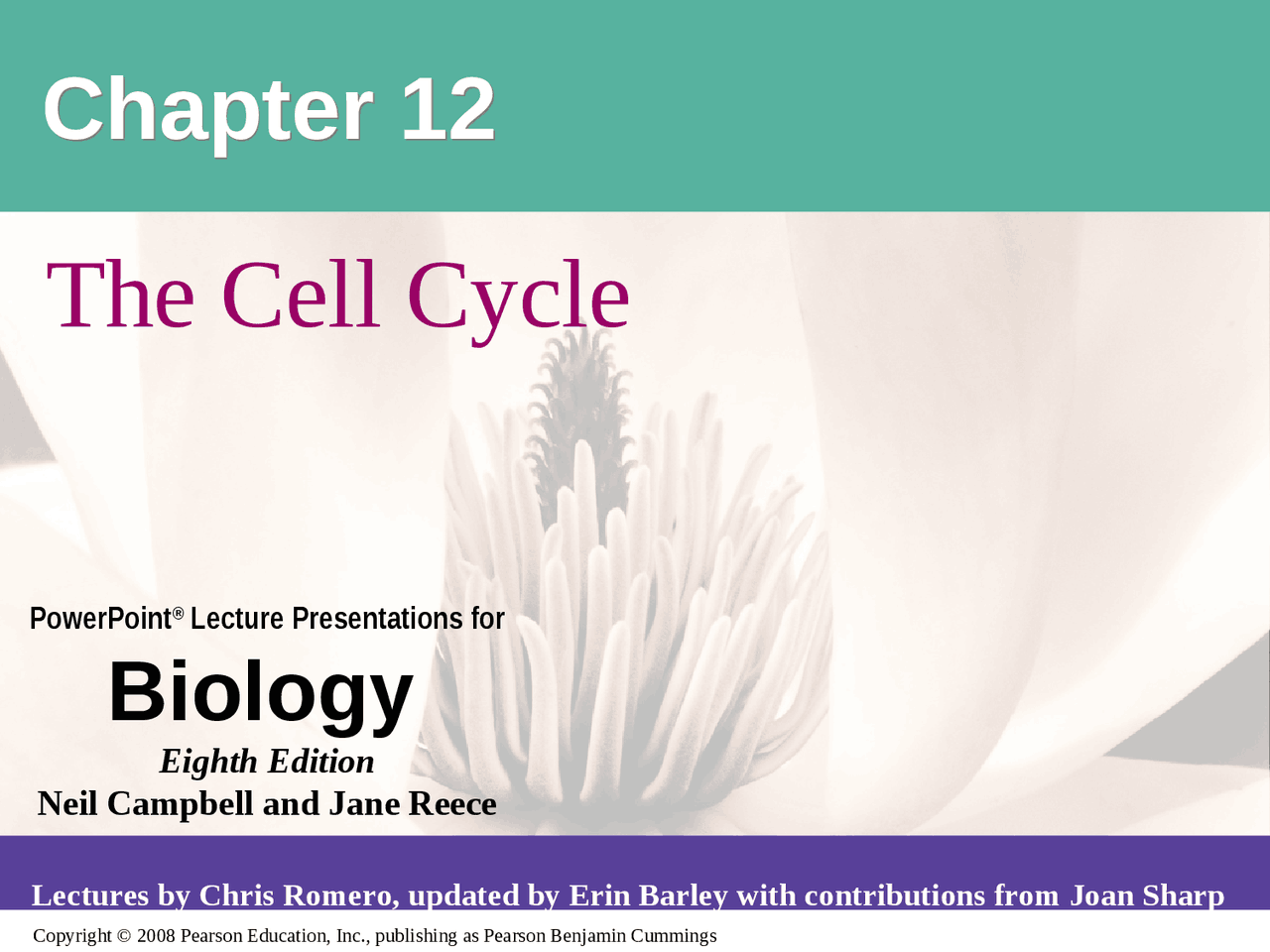 The Cell Cycle - Lecture Slides | BIO 2000 - Docsity