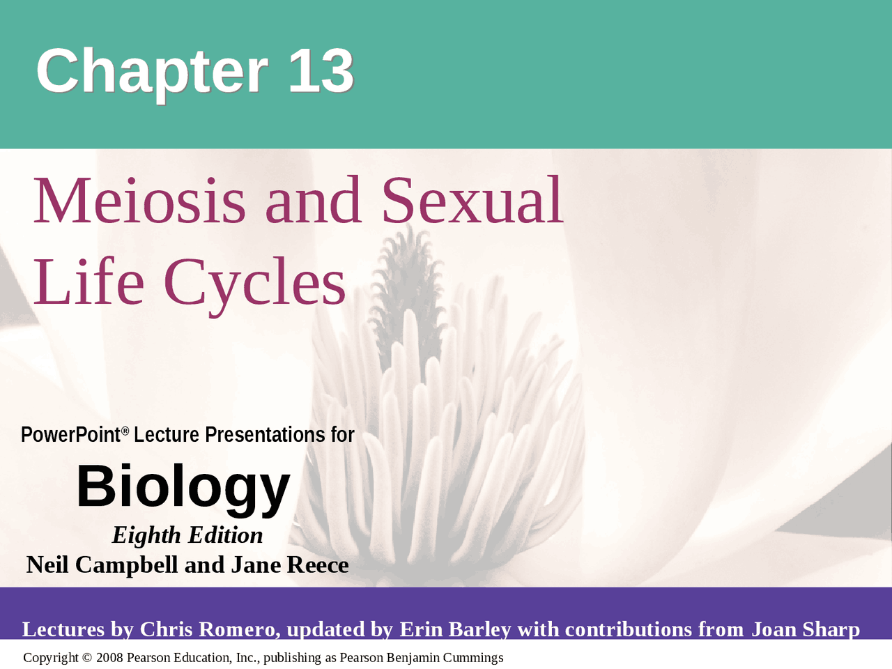 Meiosis and Sexual Life Cycles - Lecture Notes | BIO 2000 - Docsity