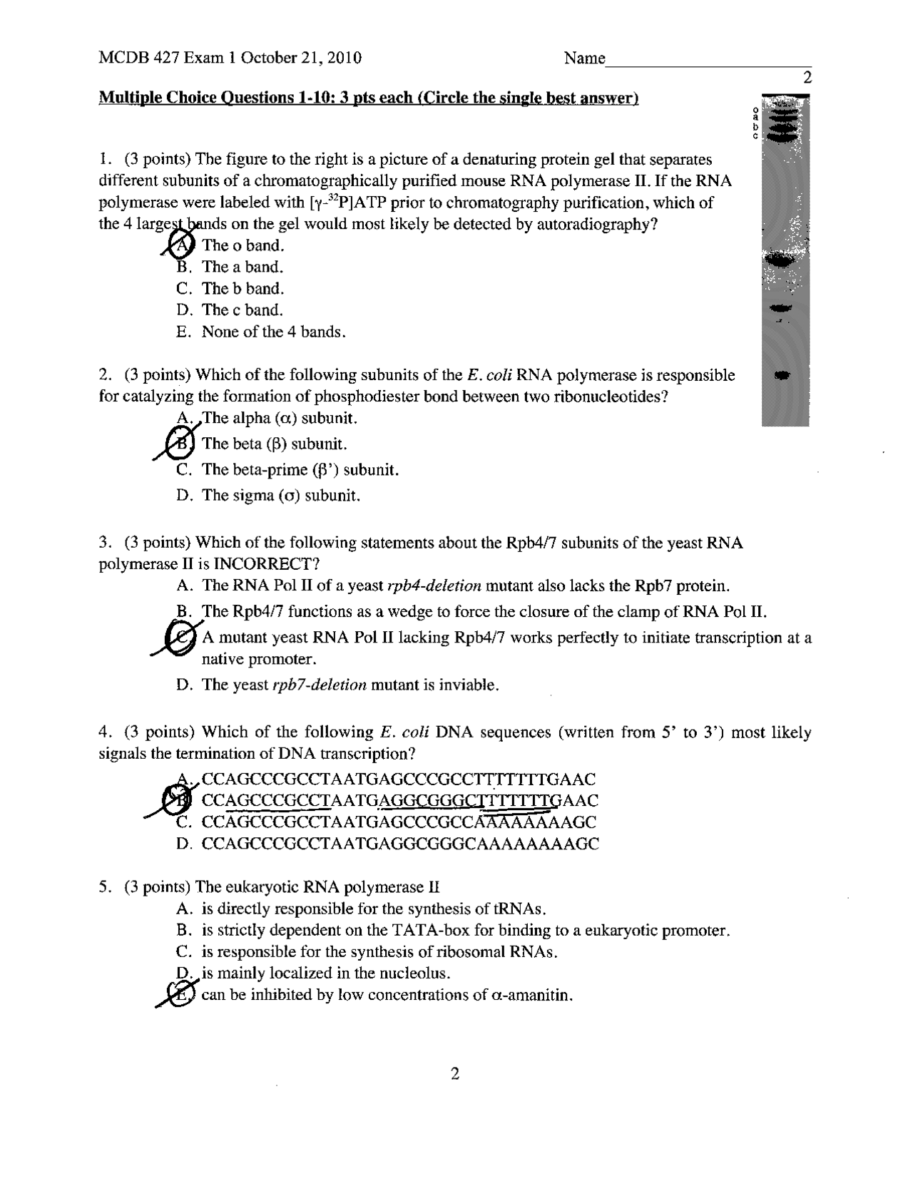 Resolution Of Multiple Choice Test Molecular Biology Mcdb 427 Docsity